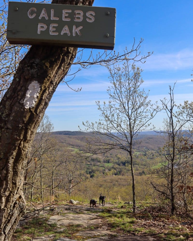 8 Secret and Scenic Hikes in Connecticut
