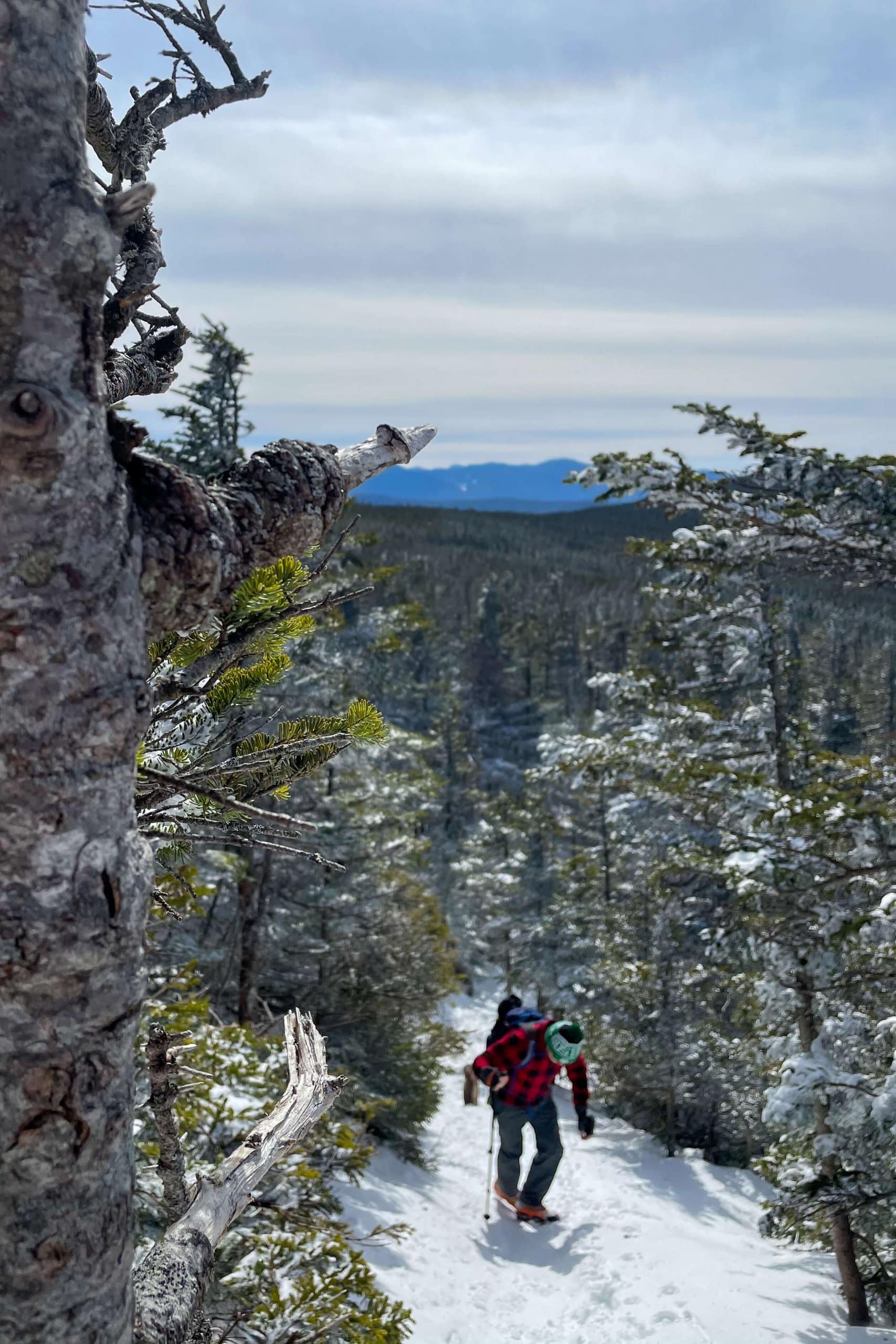 11 Best Hikes in New Hampshire with Amazing Views