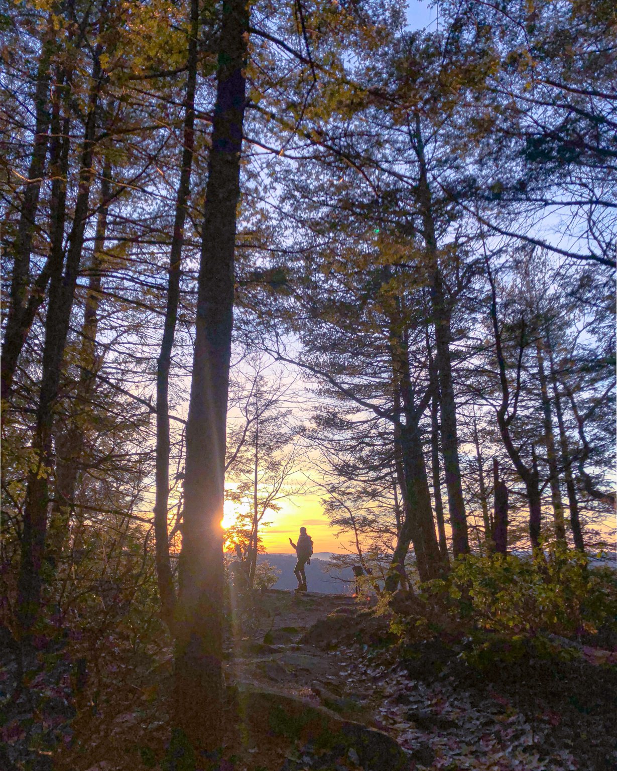 3 Amazing Hikes in Peoples State Forest, Connecticut