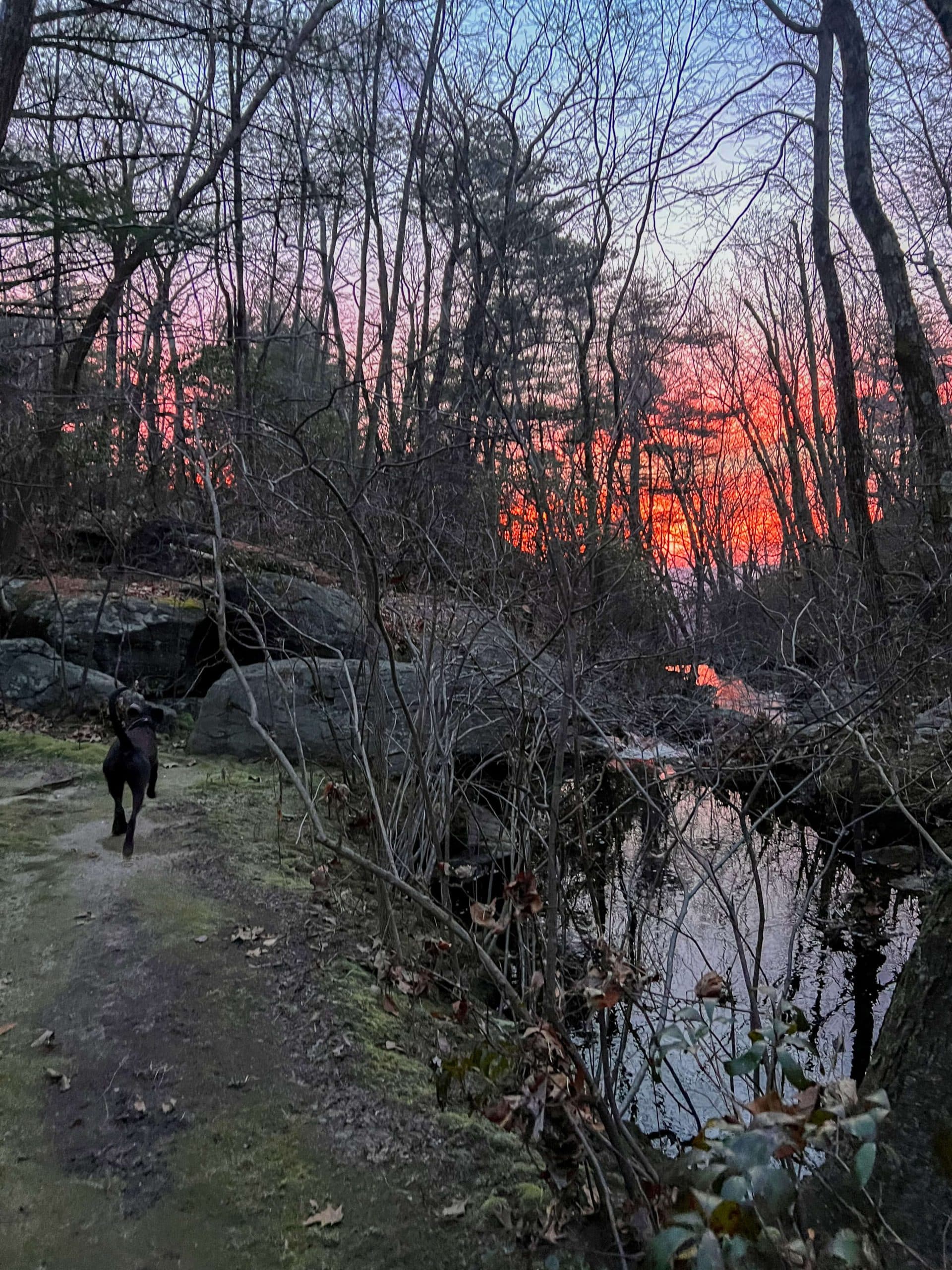 11 Best Hikes in Connecticut to Watch the Sunrise