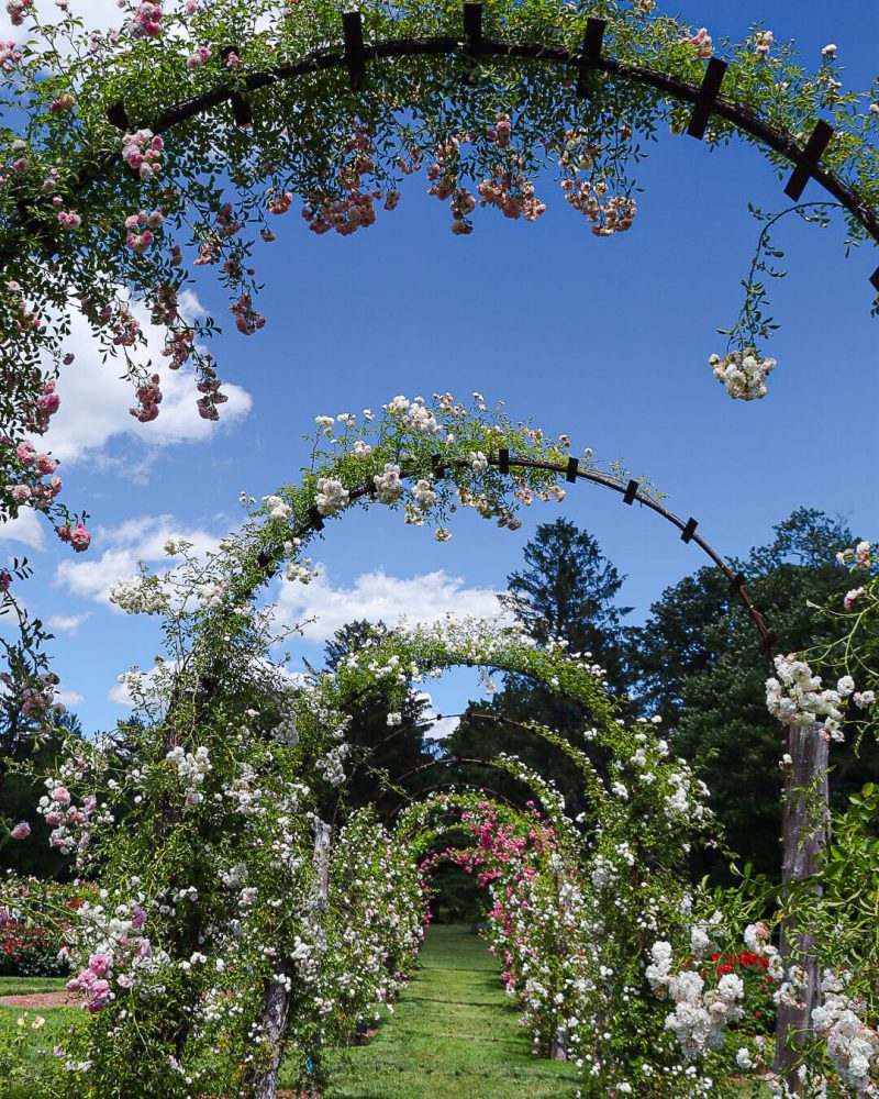 14 Flower Gardens in Connecticut to Visit This Spring
