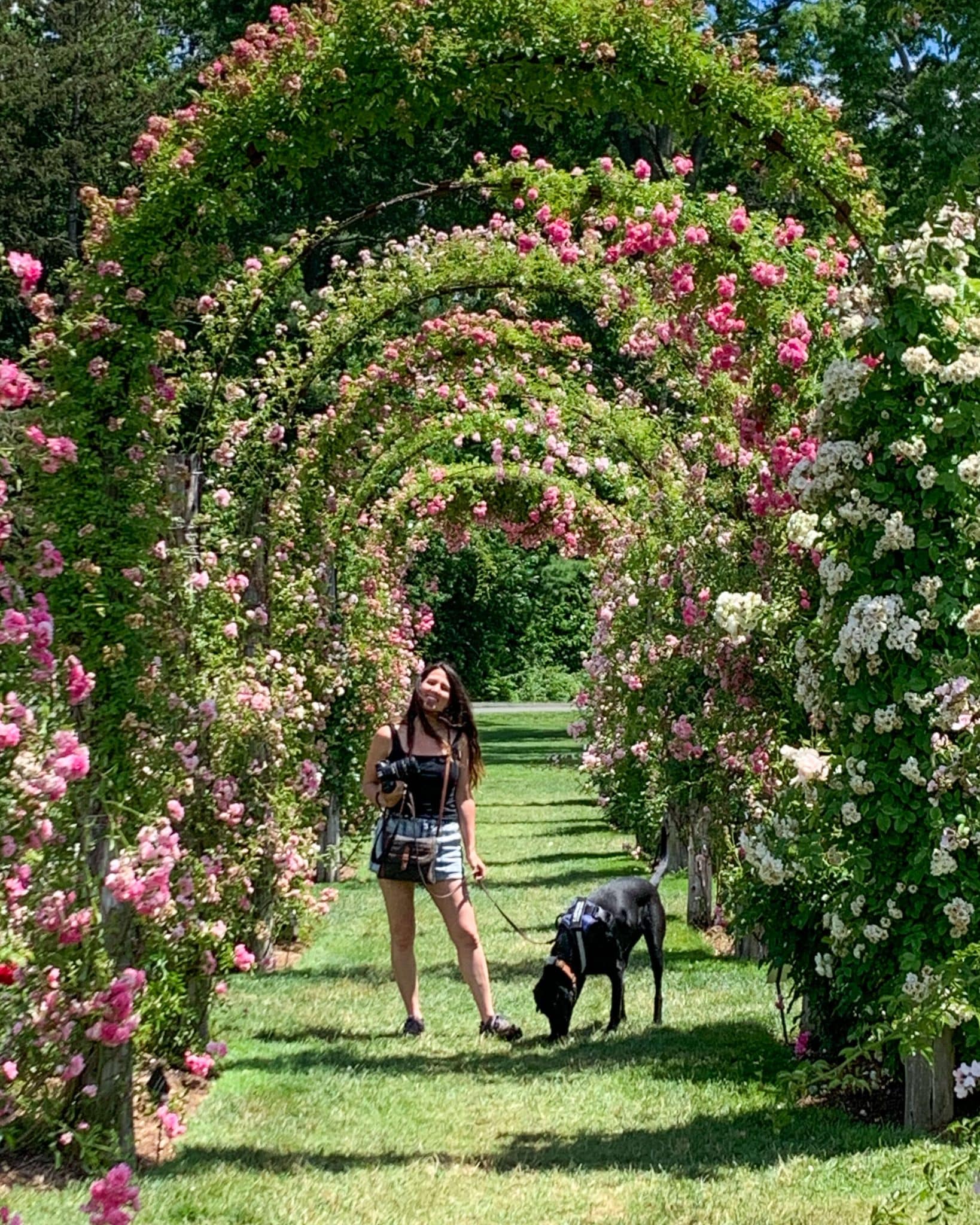 14 Flower Gardens in Connecticut to Visit This Spring