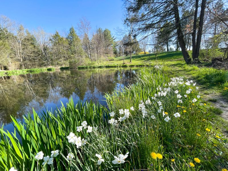 14 Flower Gardens in Connecticut to Visit This Spring
