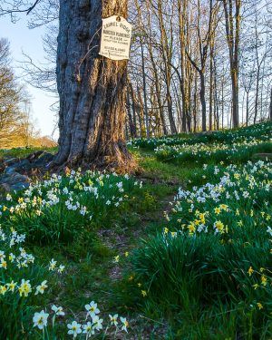 14 Flower Gardens in Connecticut to Visit This Spring