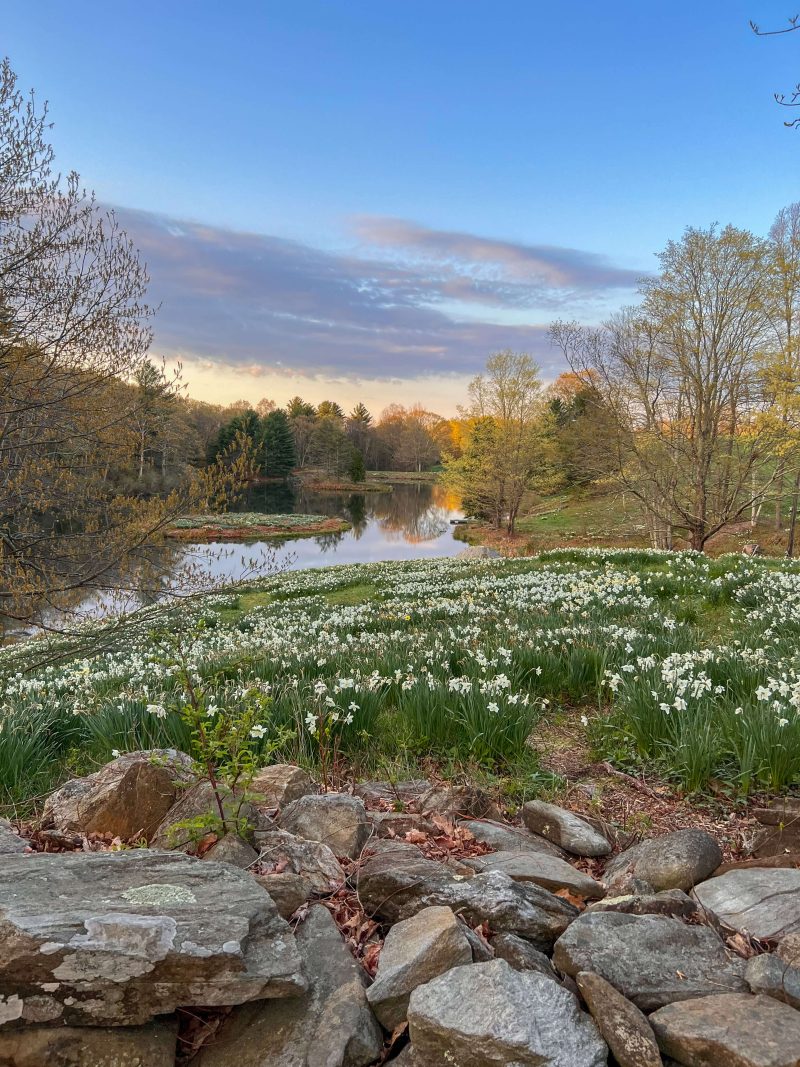 Easy Walks & Hikes in Connecticut: Paved Paths & Forest Trails