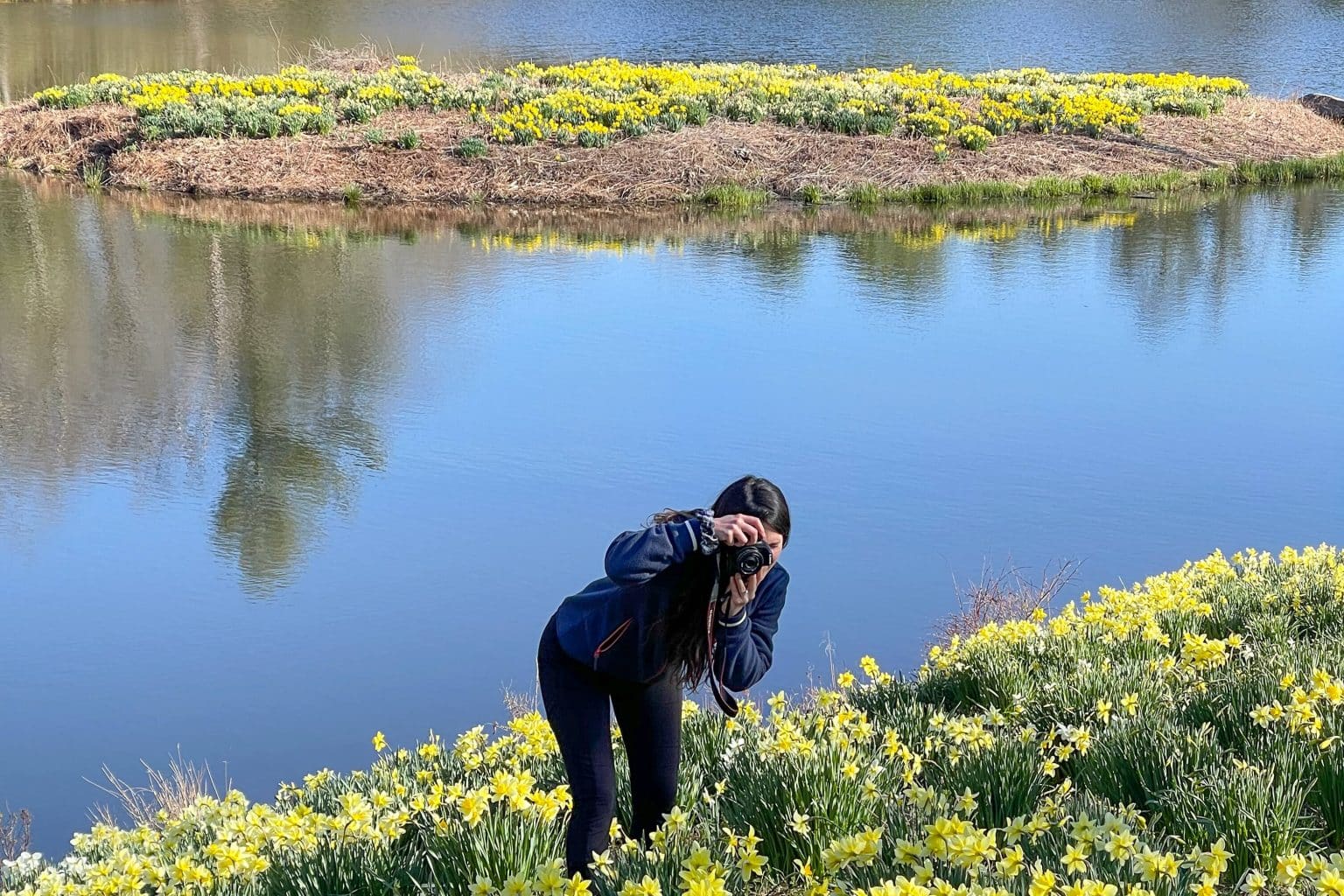 14 Flower Gardens in Connecticut to Visit This Spring