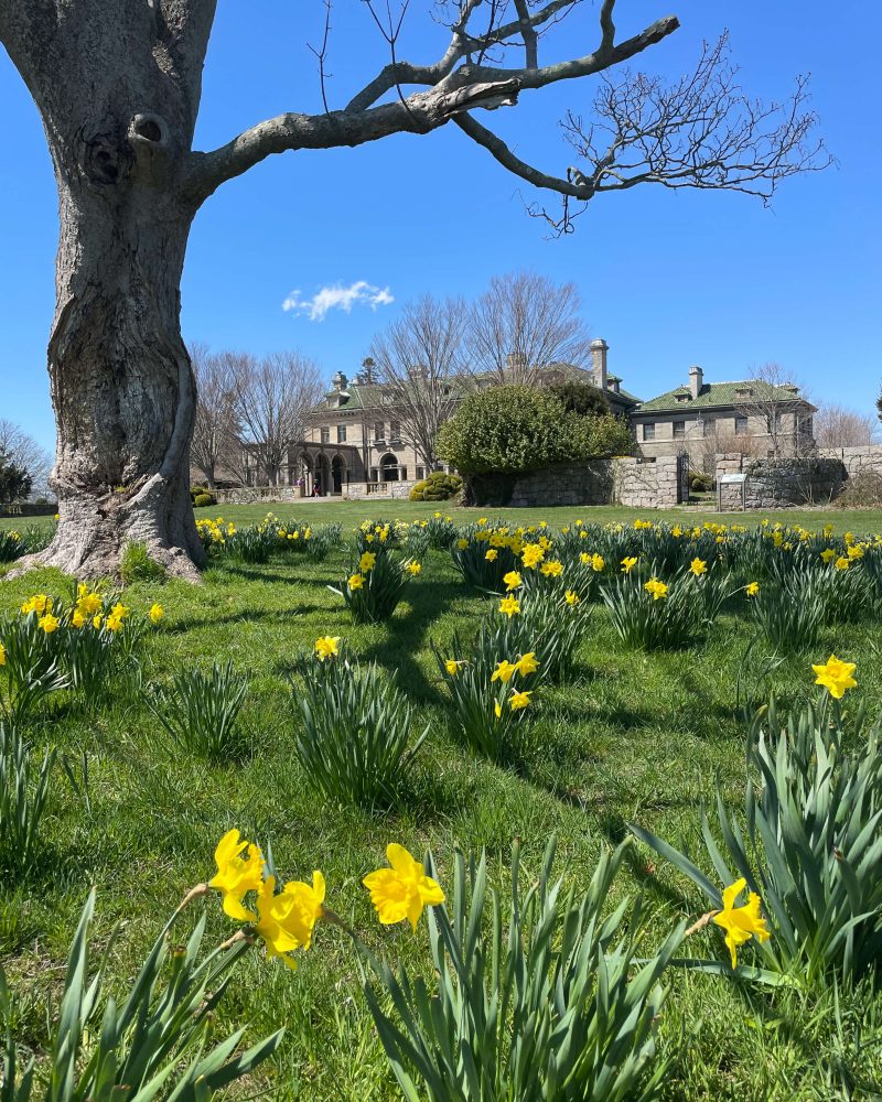14 Flower Gardens in Connecticut to Visit This Spring