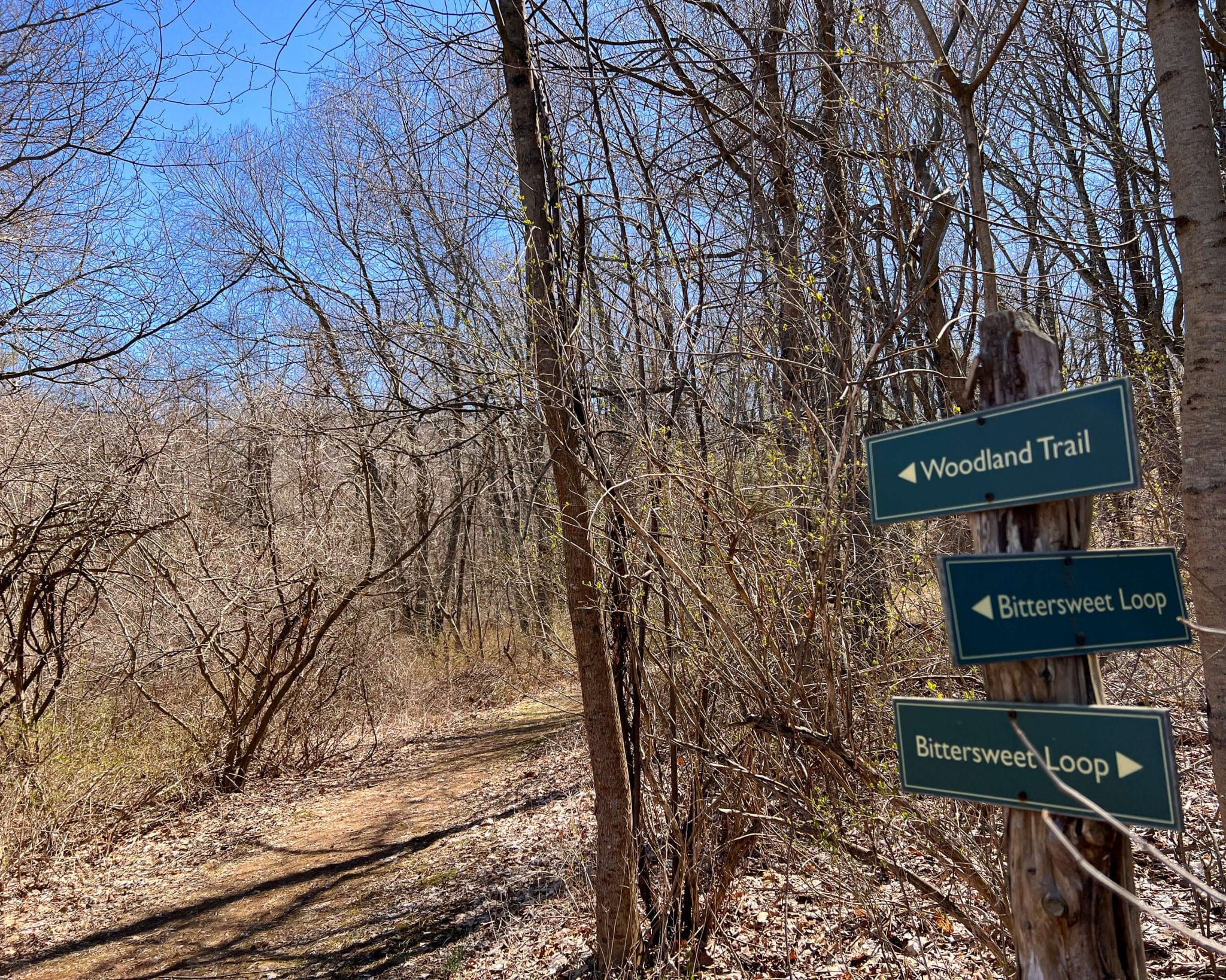 12 Short Connecticut Hikes with Amazing Views; Under 2 Miles!