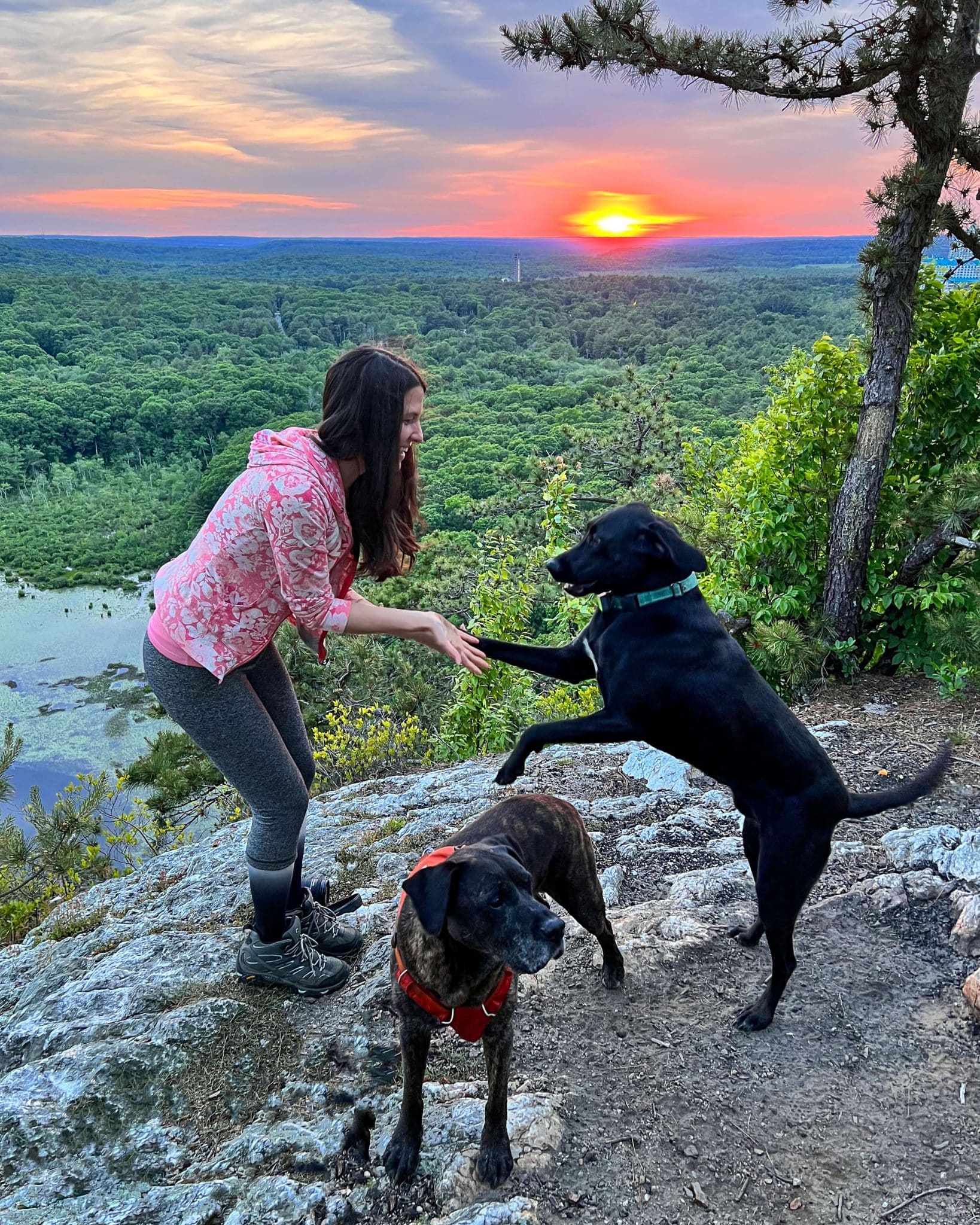 12 Short Connecticut Hikes with Amazing Views; Under 2 Miles!