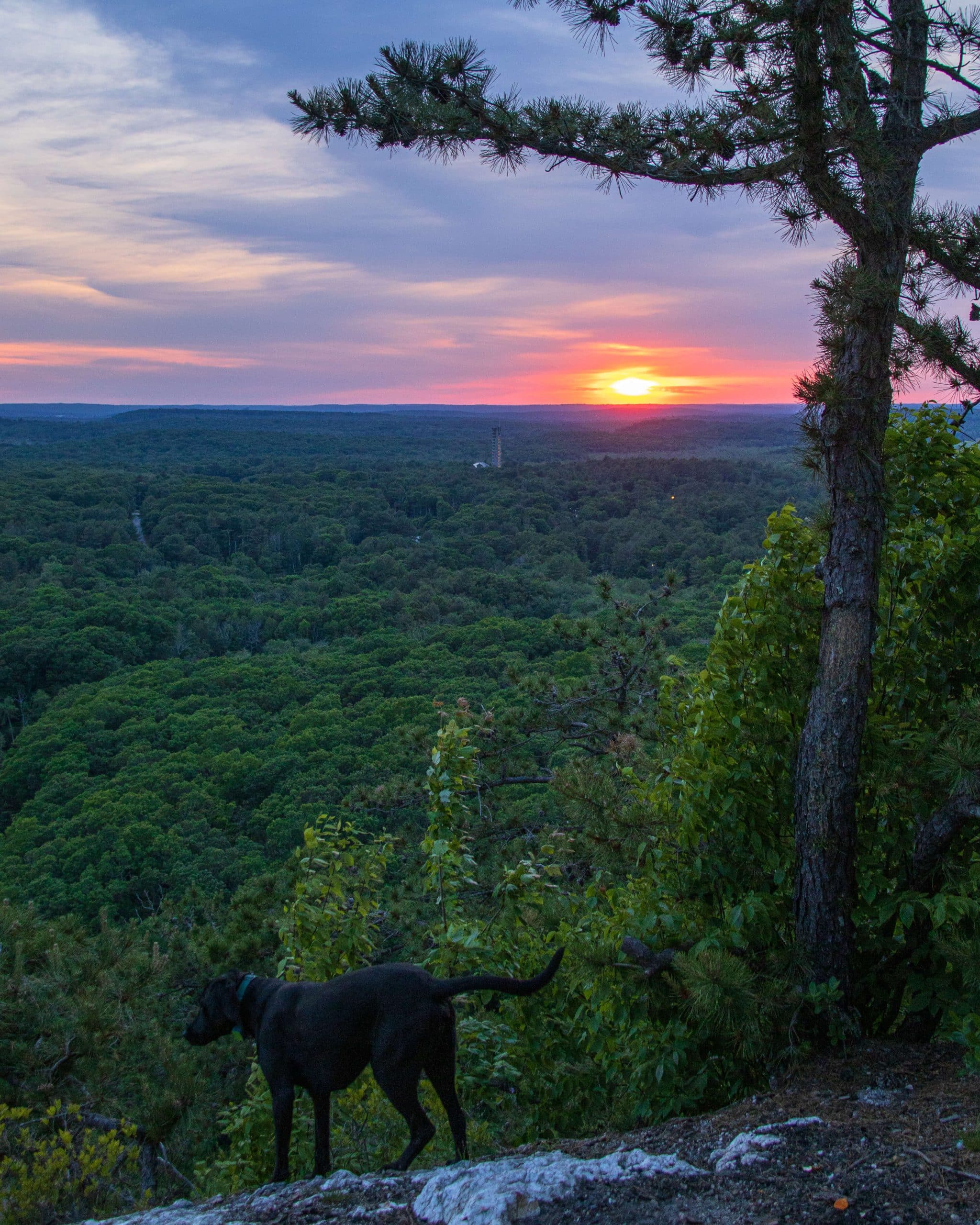 12 Short Connecticut Hikes with Amazing Views; Under 2 Miles!
