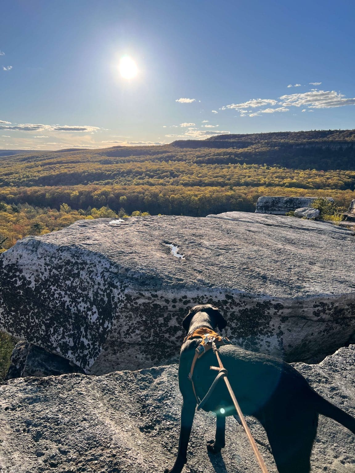 10 Must-Do Hikes in Minnewaska State Park; A Full Guide