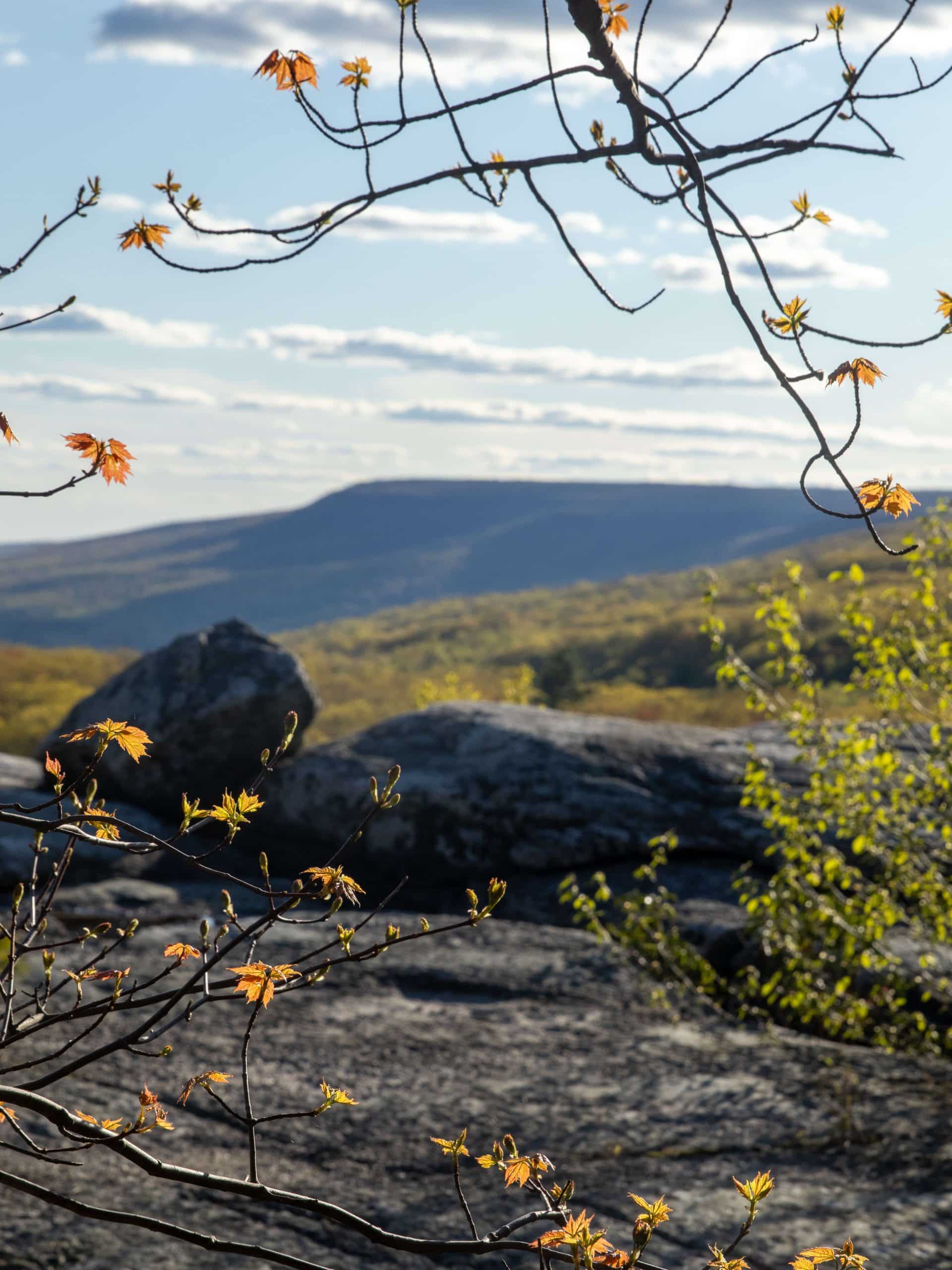 10 Must-Do Hikes in Minnewaska State Park; A Full Guide