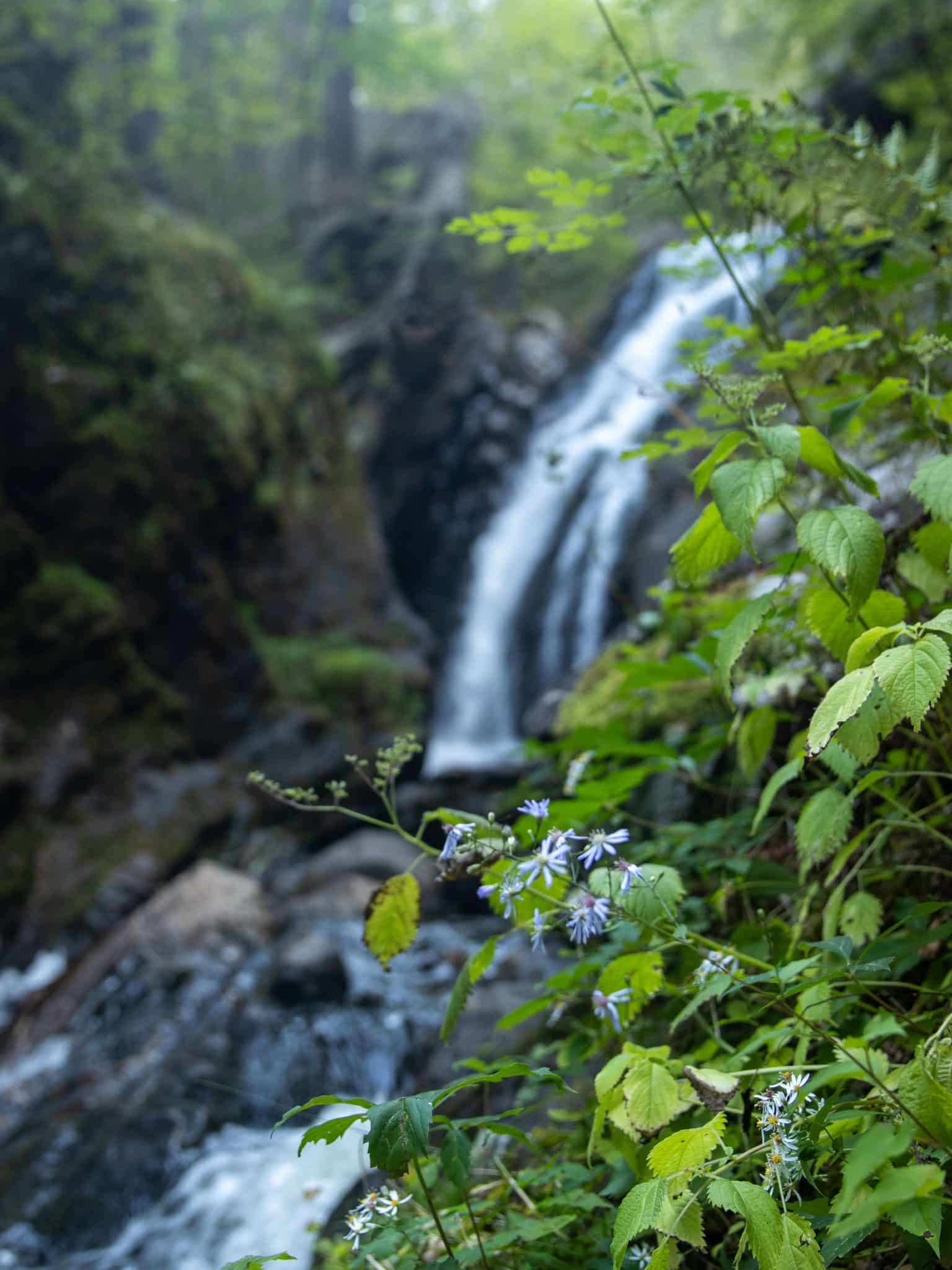 Top 21 Waterfalls in New England and New York (with Map!)