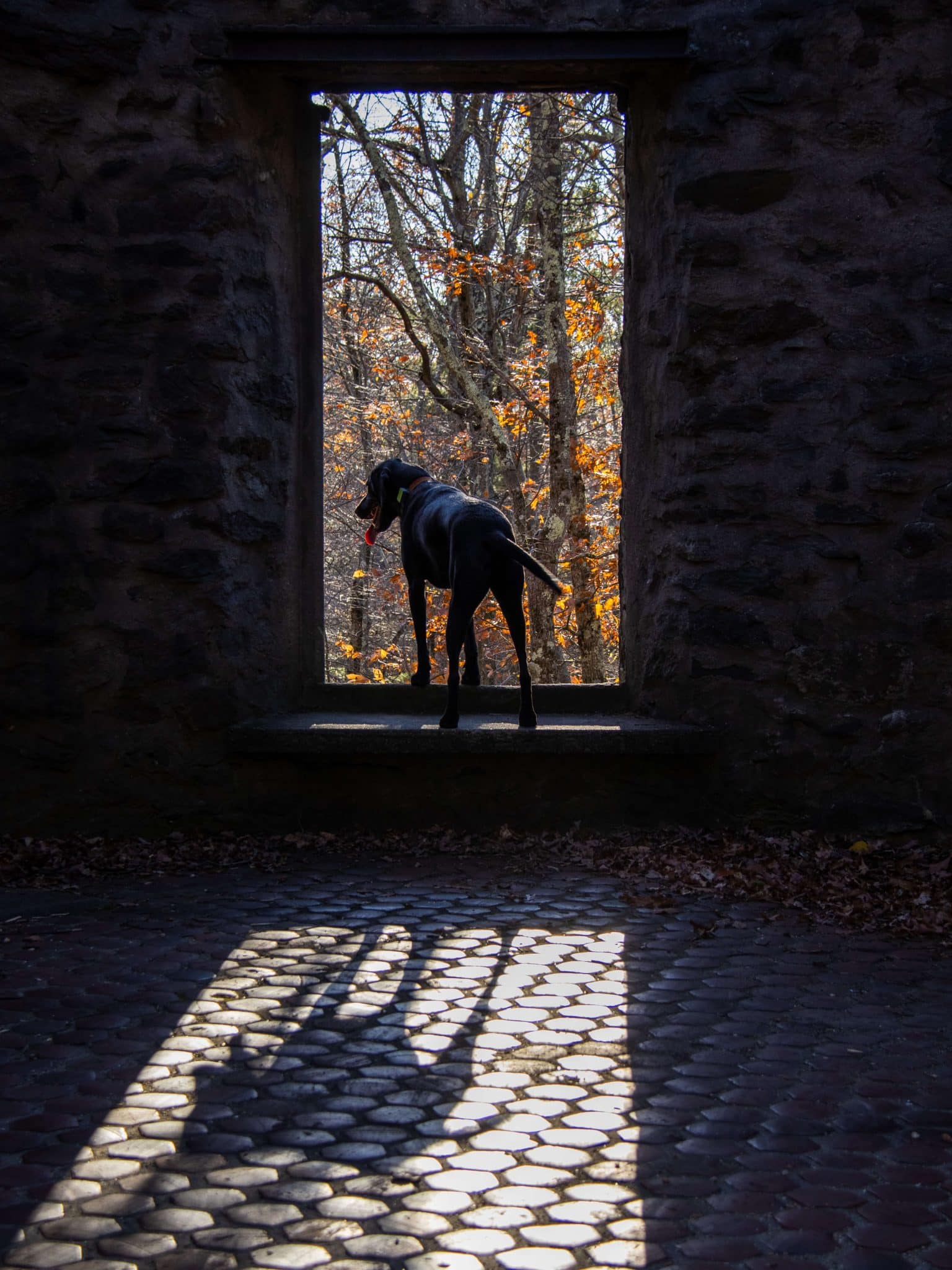11 Fall Hikes in Connecticut Paired with Nearby Fall Activities!
