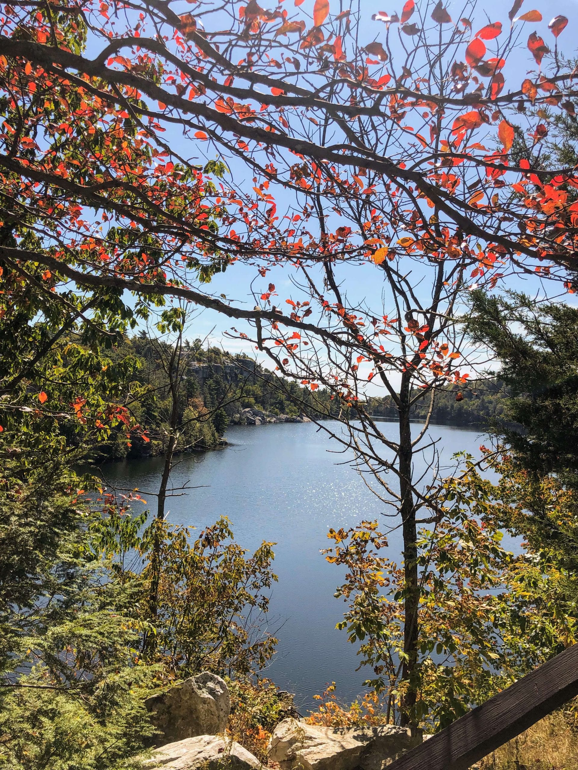 10 Must-Do Hikes in Minnewaska State Park; A Full Guide