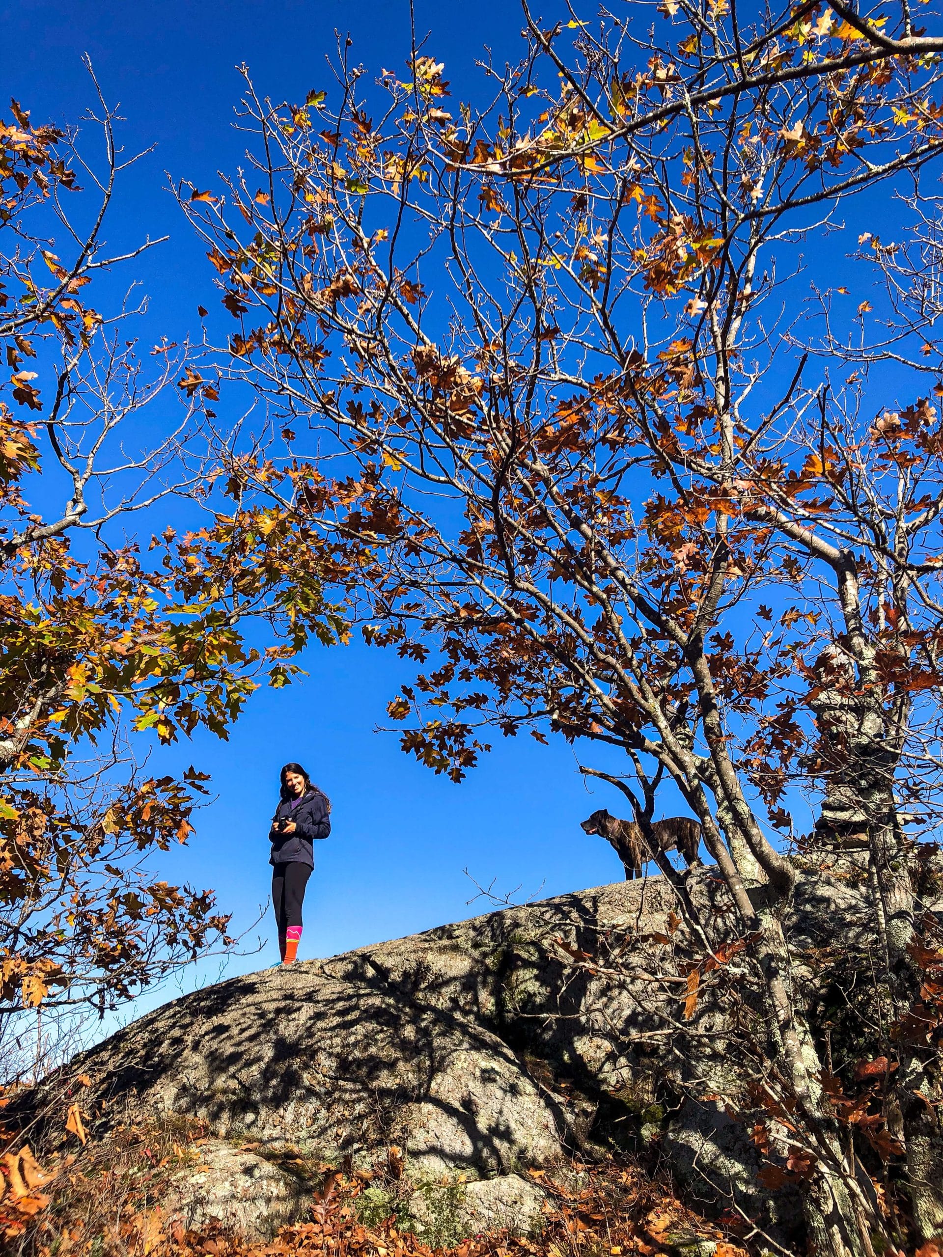 11 Fall Hikes in Connecticut Paired with Nearby Fall Activities!