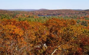 11 Fall Hikes in Connecticut Paired with Nearby Fall Activities!
