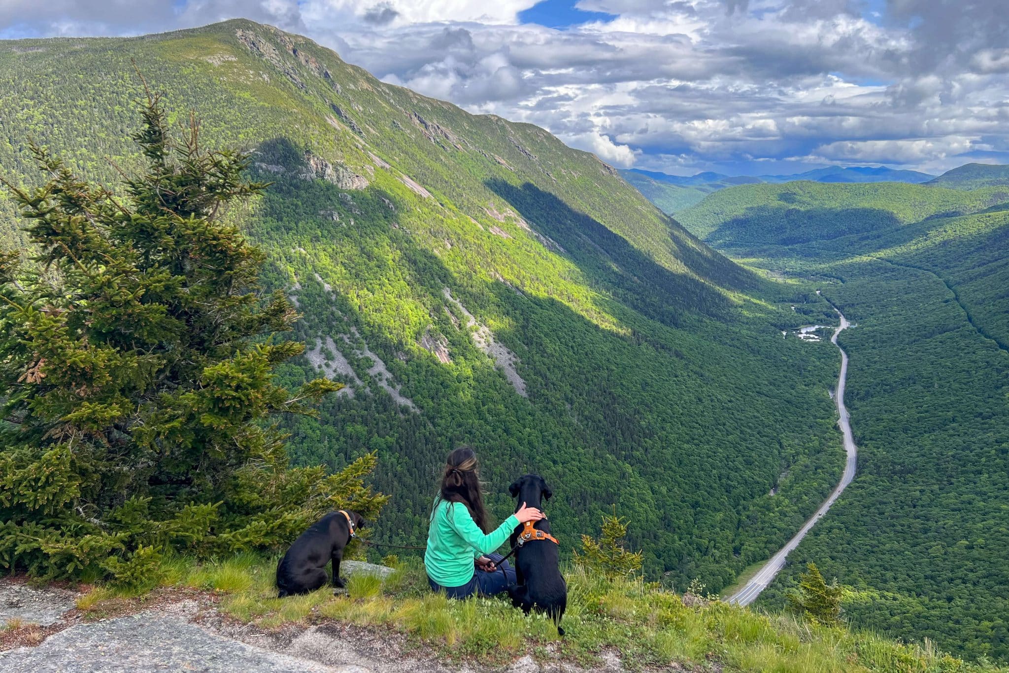 10 of the Best Hikes in Crawford Notch, New Hampshire; All Levels!