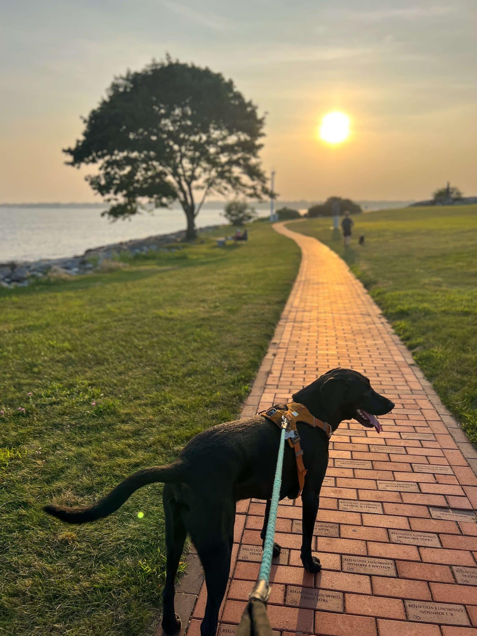 25 Must-Visit Scenic Outdoor Places in Connecticut