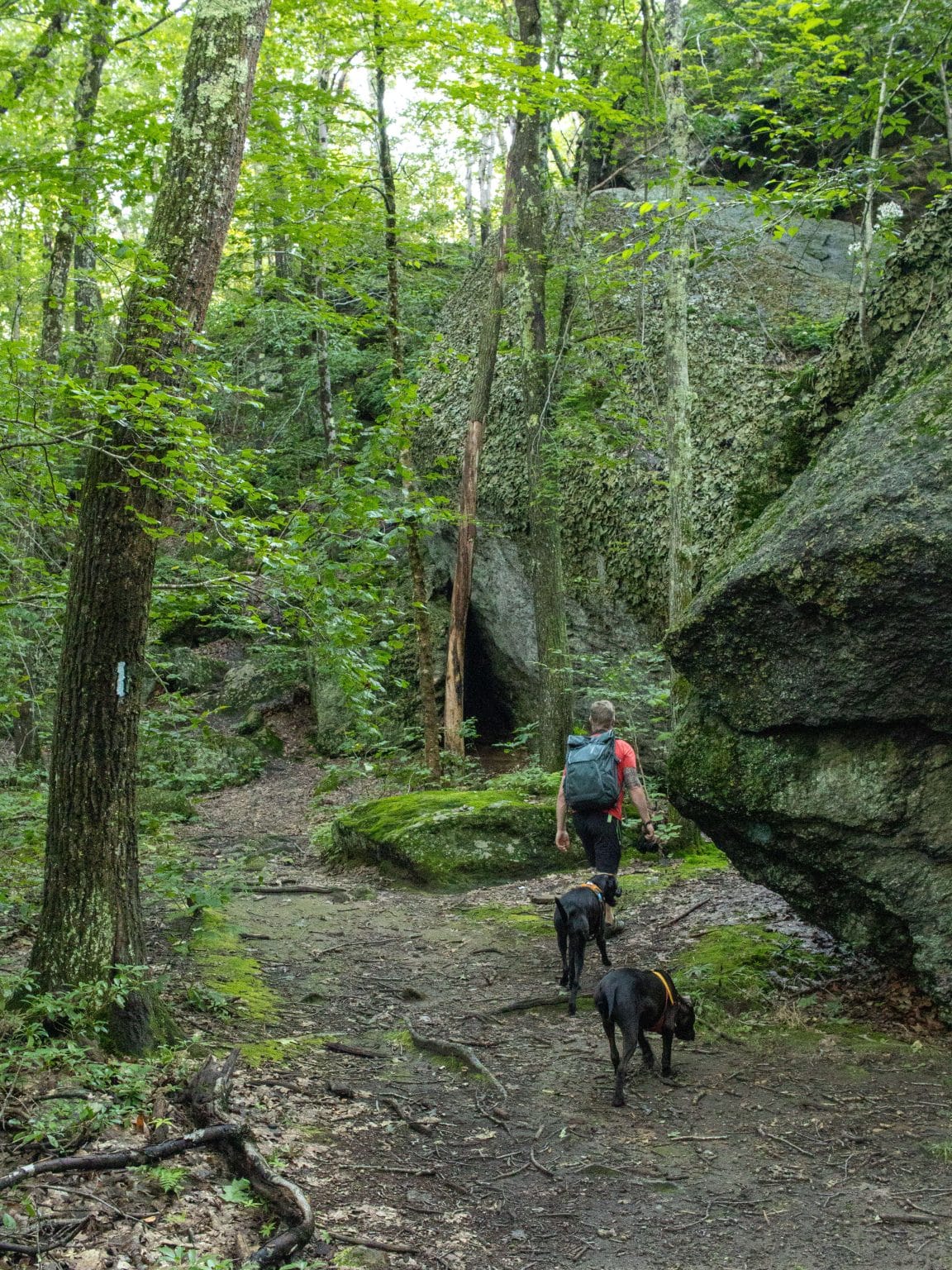 Connecticut's Haunted Backcountry: 11 Spooky Hikes & History