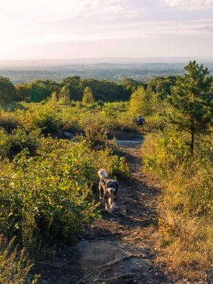 Case Mountain Hike Guide, Manchester, Connecticut