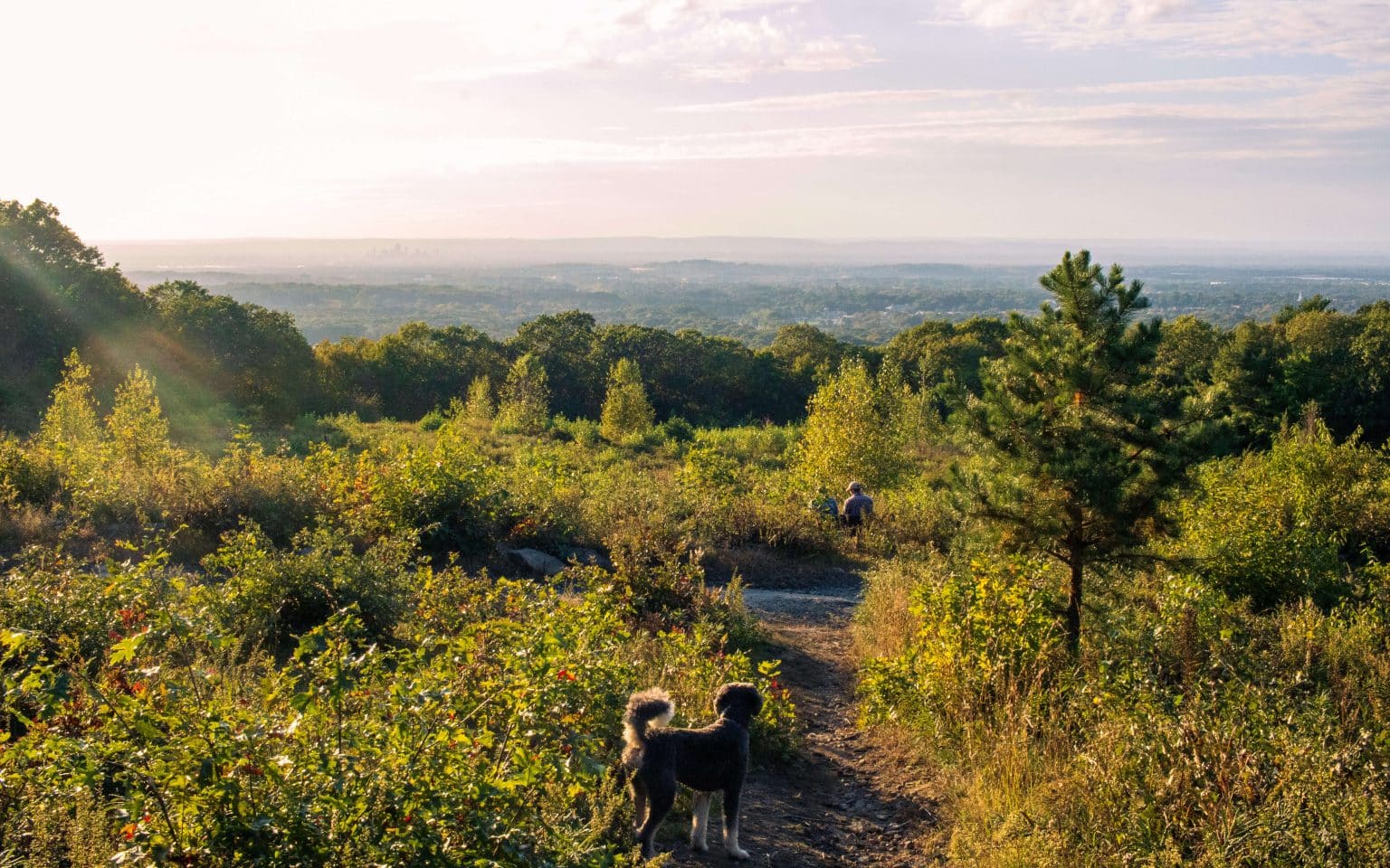 Case Mountain Hike Guide, Manchester, Connecticut