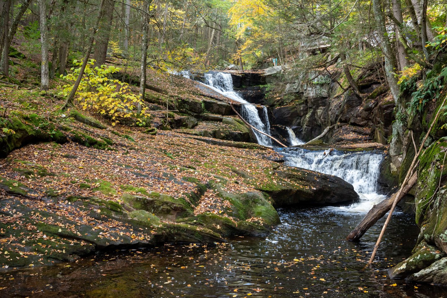 10 Summer Hikes in CT Paired with Nearby Ice Cream!