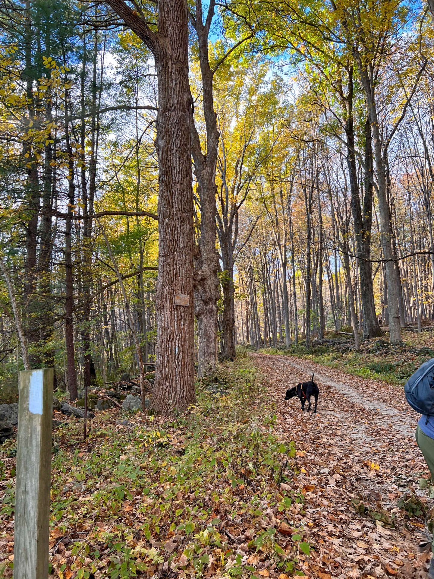 Fall in Litchfield County; Must-See Spots, Drives, & Hikes!