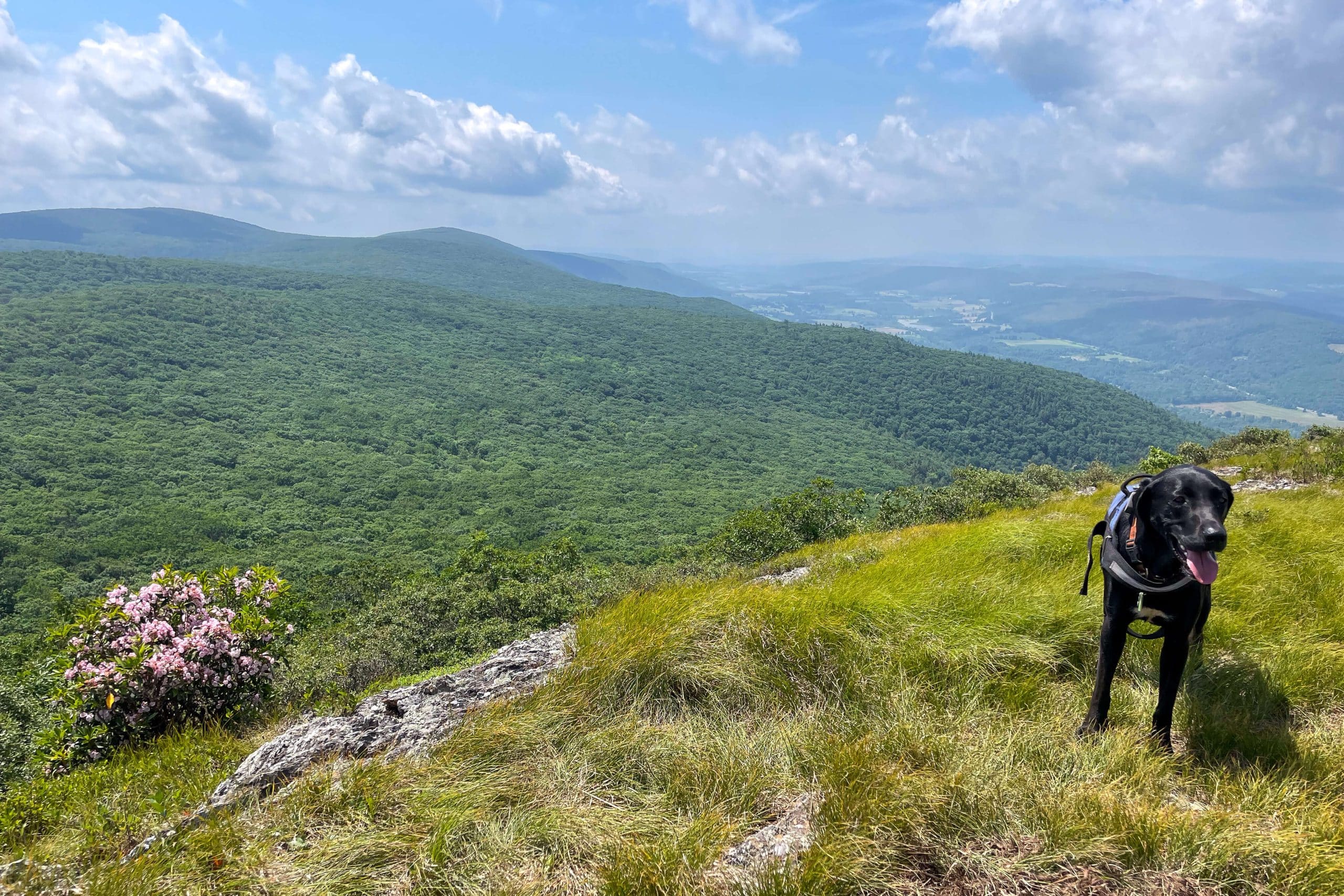 13 Best Hikes in the Berkshires; Views, Waterfalls, & More!