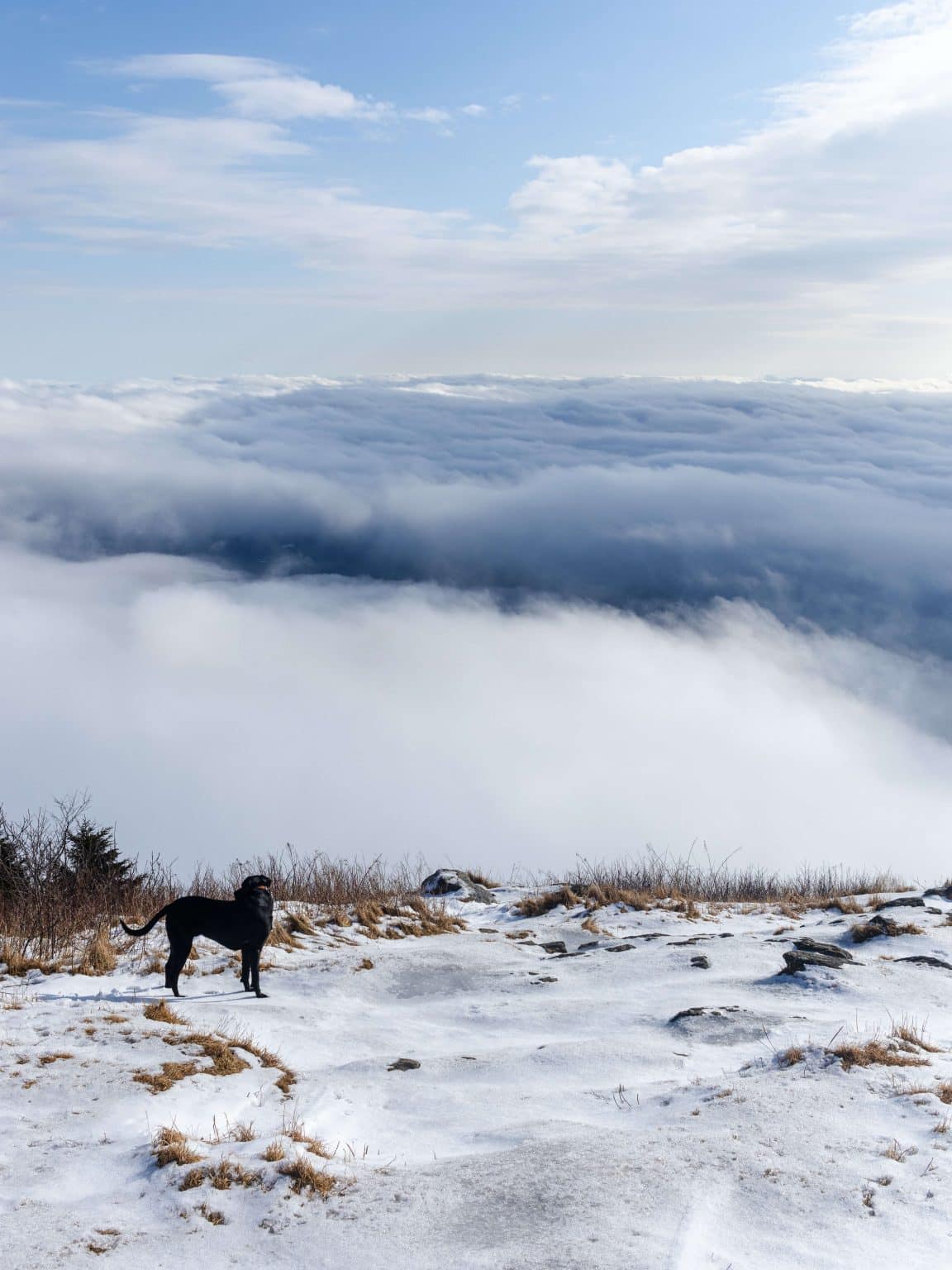 13 Best Hikes in the Berkshires; Views, Waterfalls, & More!