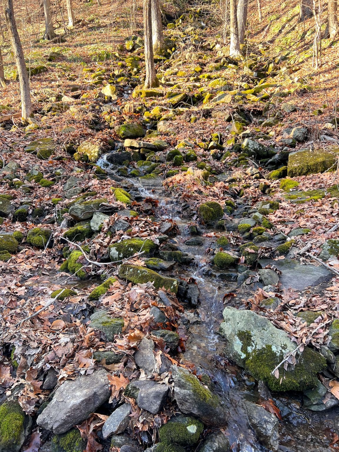 Hike Hedgehog Trail Up West Mountain, Simsbury CT (2 routes)