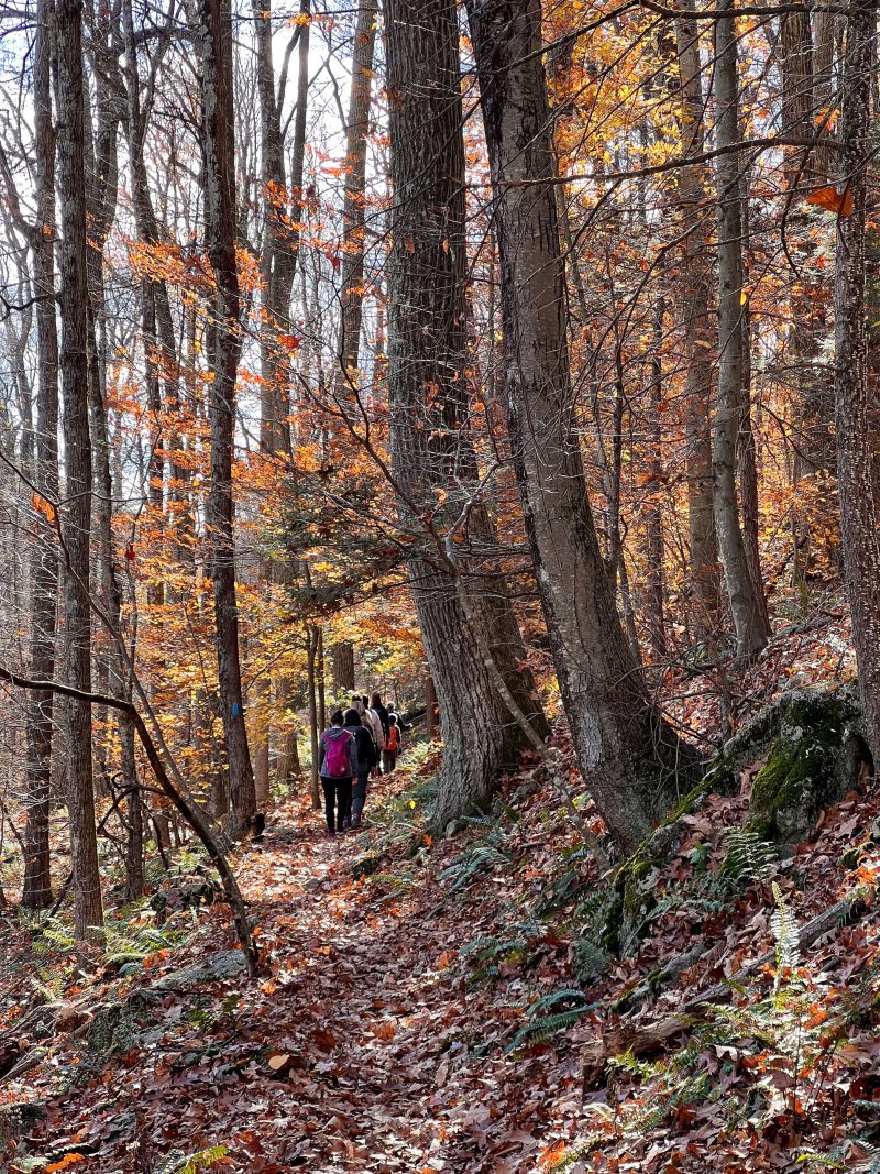 Hike Hedgehog Trail Up West Mountain, Simsbury CT (2 routes)