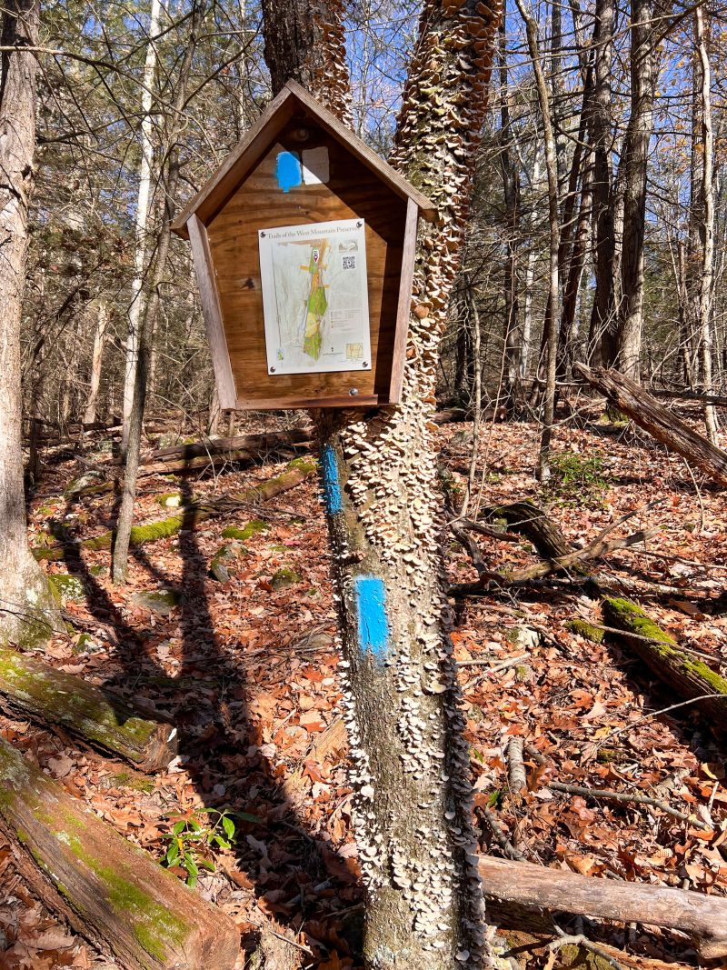 Hike Hedgehog Trail Up West Mountain, Simsbury CT (2 routes)