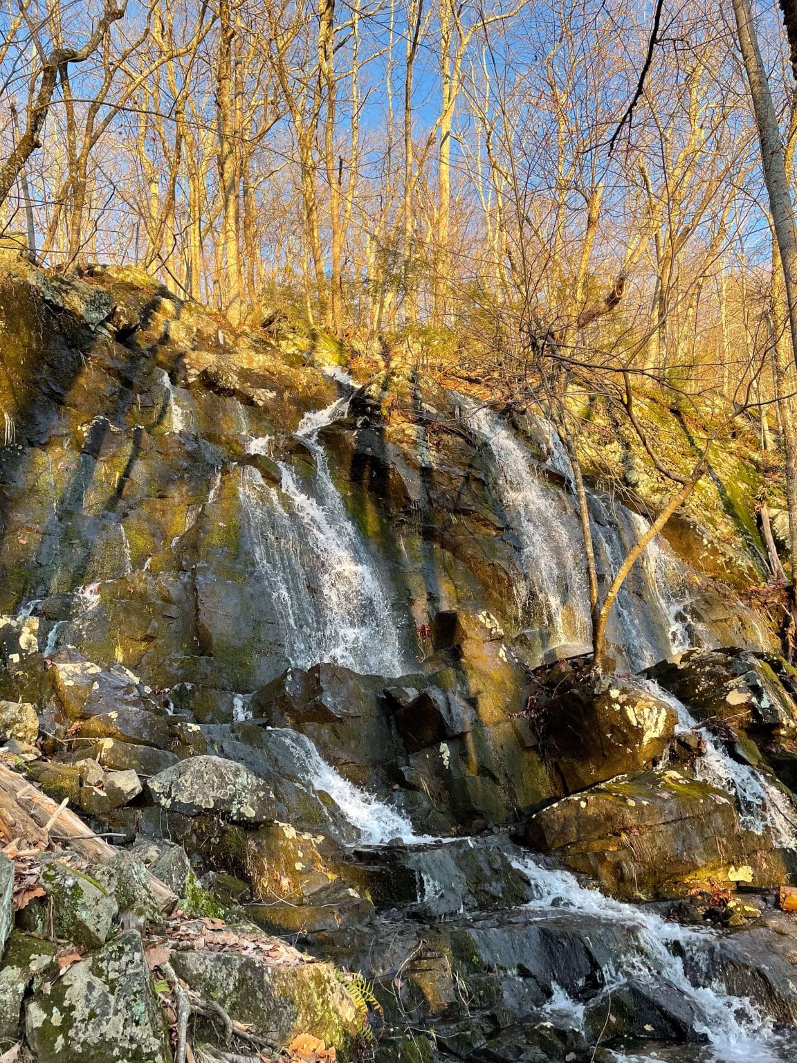 Hike Hedgehog Trail Up West Mountain, Simsbury CT (2 routes)