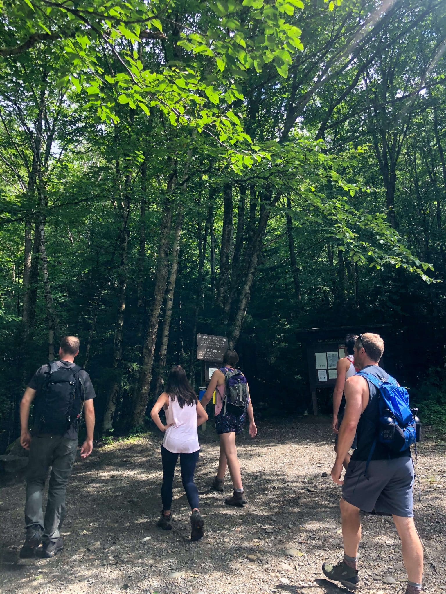 Hike Mount Mansfield; 4 Routes up VT's Tallest Mountain!