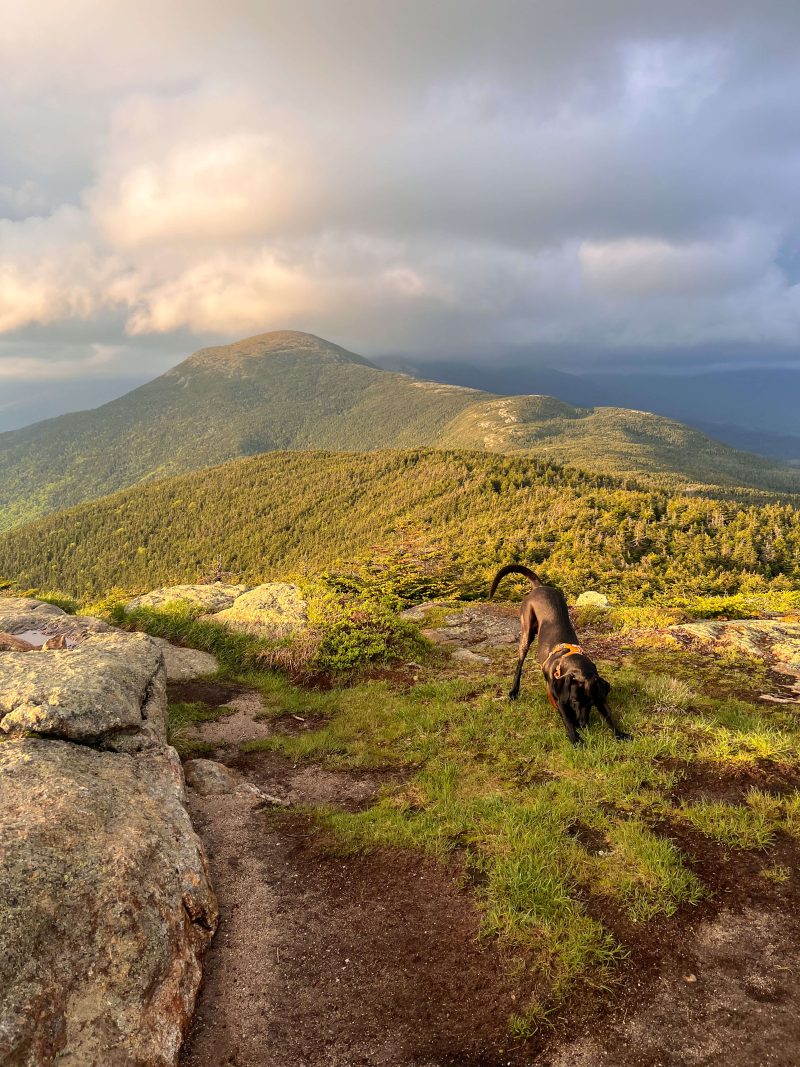 Hike Mount Pierce, 3 Trails to Choose for Incredible Views!
