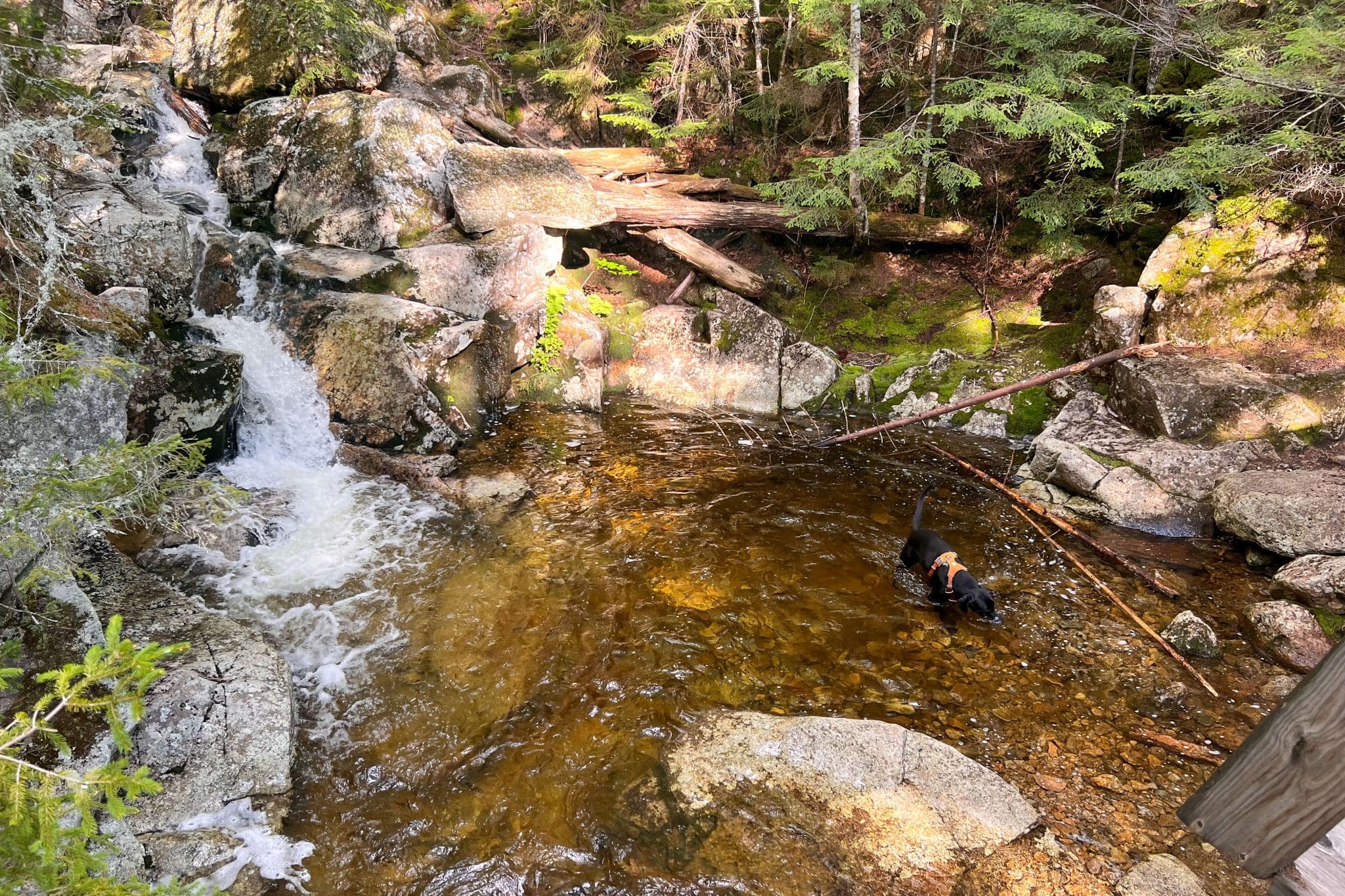 Hike Mount Pierce, 3 Trails to Choose for Incredible Views!