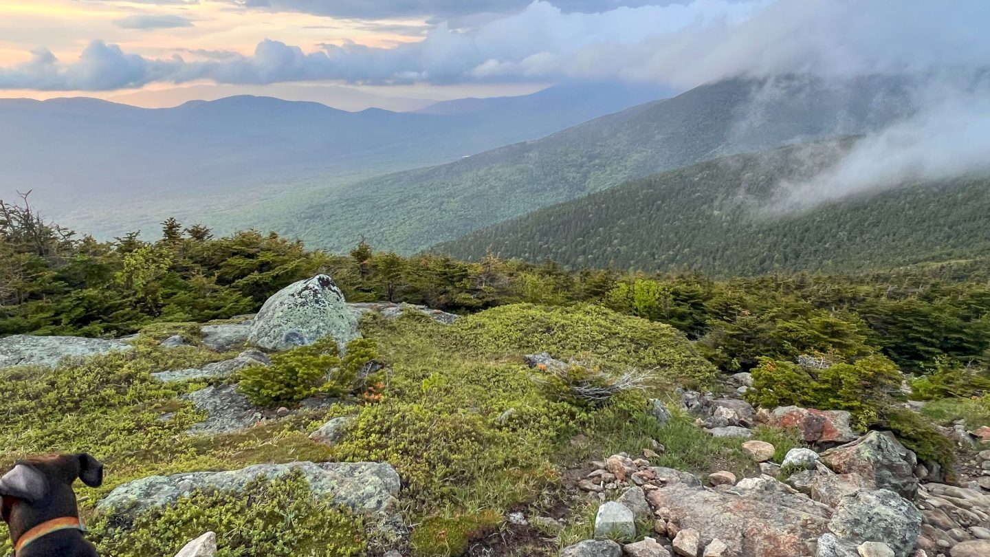 Hike Mount Pierce, 3 Trails to Choose for Incredible Views!