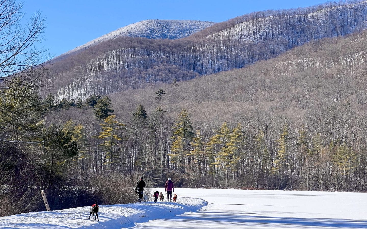 10 of the Best Hikes in Manchester, Vermont; All Levels!