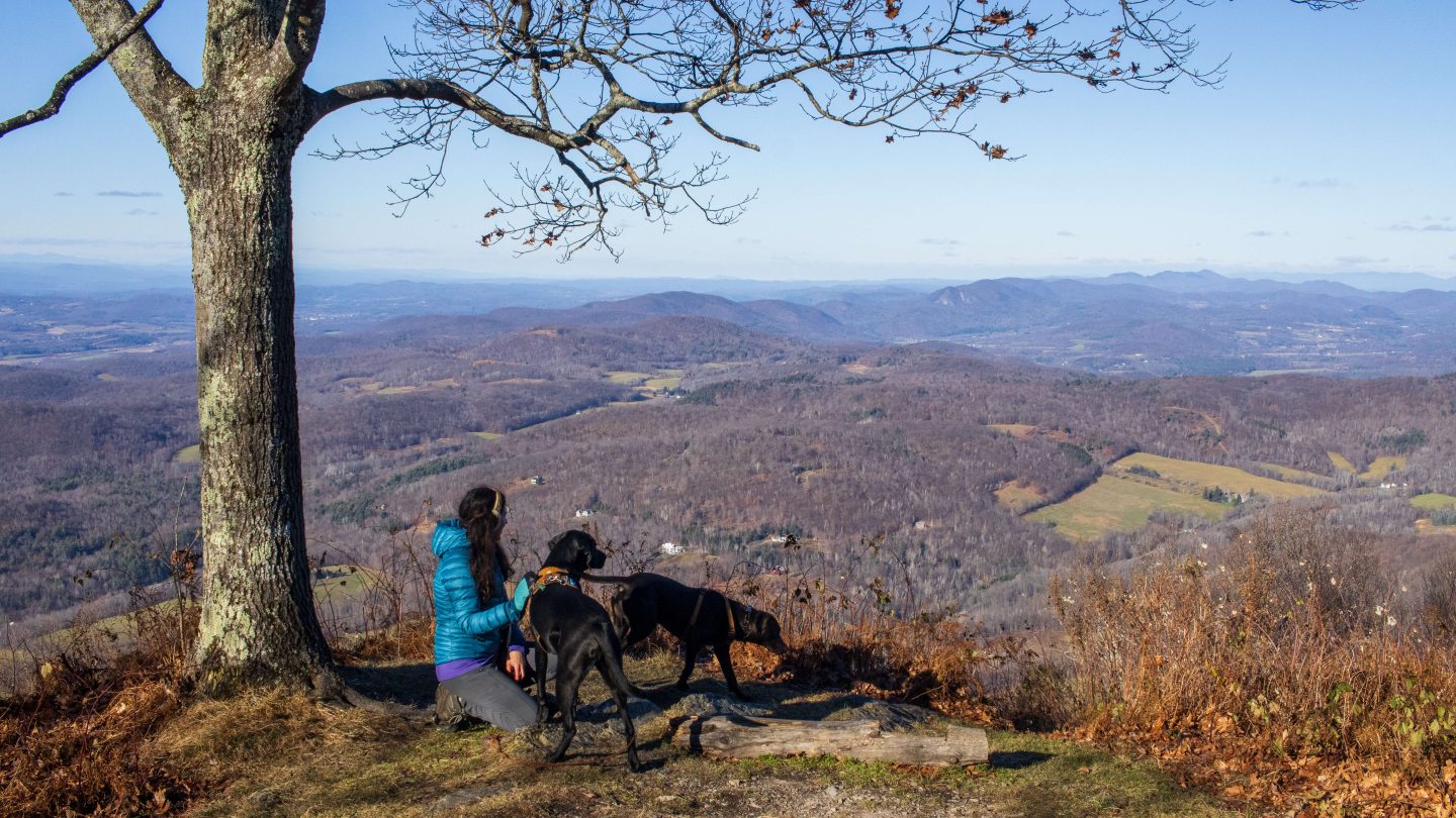 10 of the Best Hikes in Manchester, Vermont; All Levels!