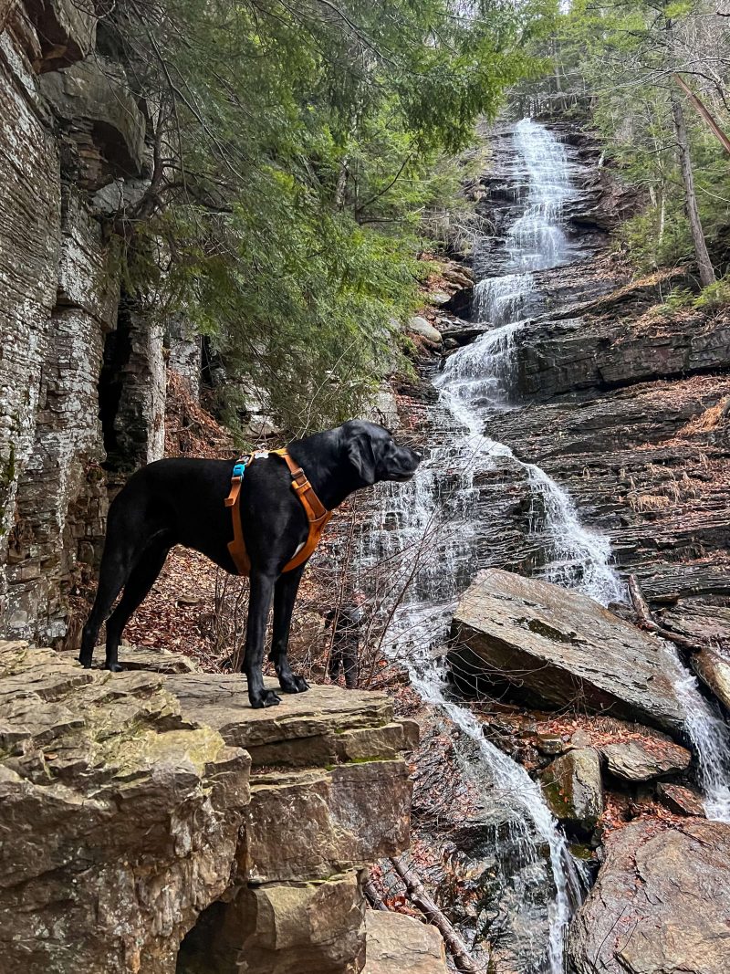 10 Things to Do Manchester, VT: Hikes, Arts, Cafes & More!