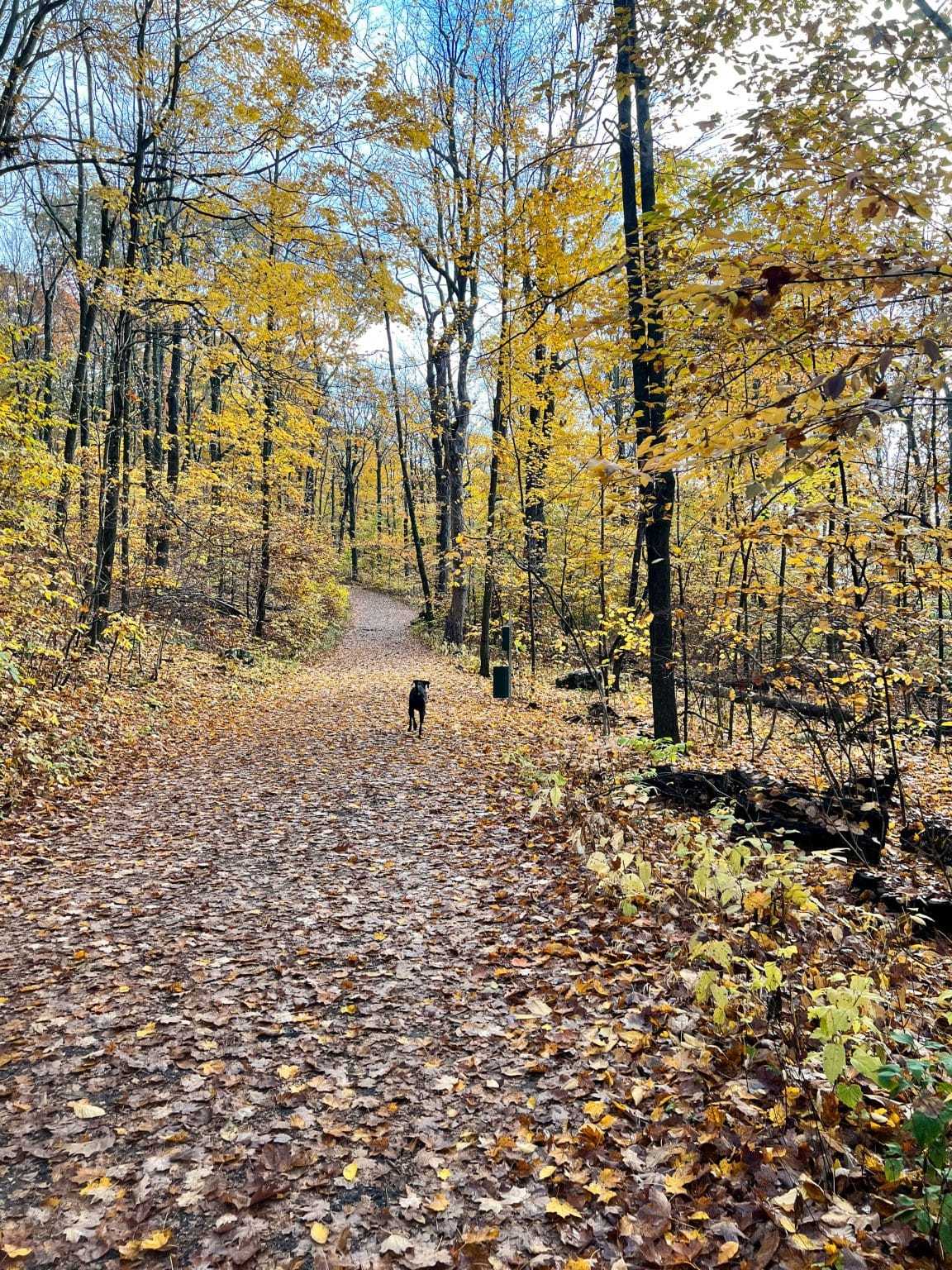 4 Different Hikes to Heublein Tower at Talcott Mountain