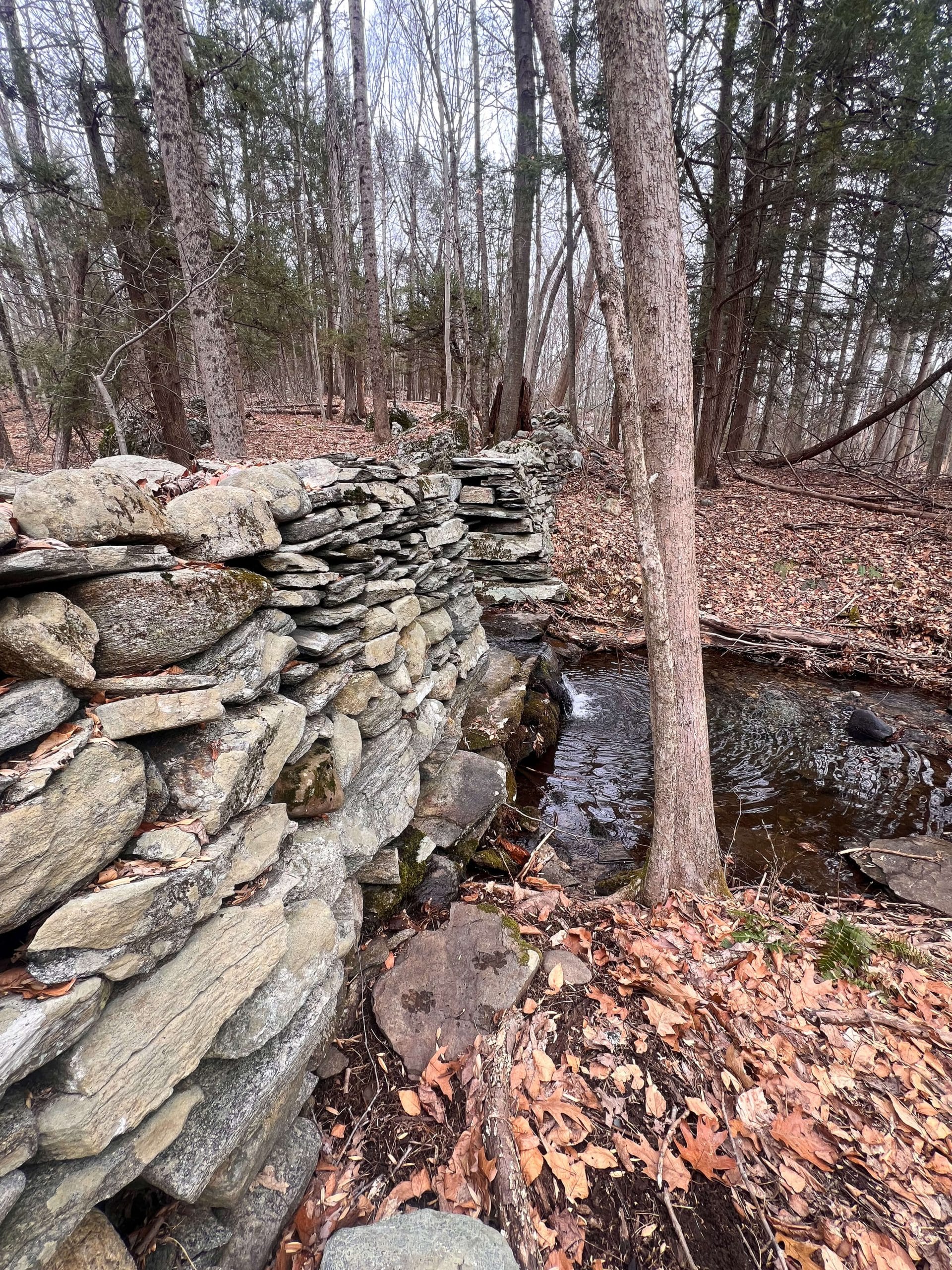 Day Trip to Newtown, Connecticut; Hikes, Waterfall, & Food!