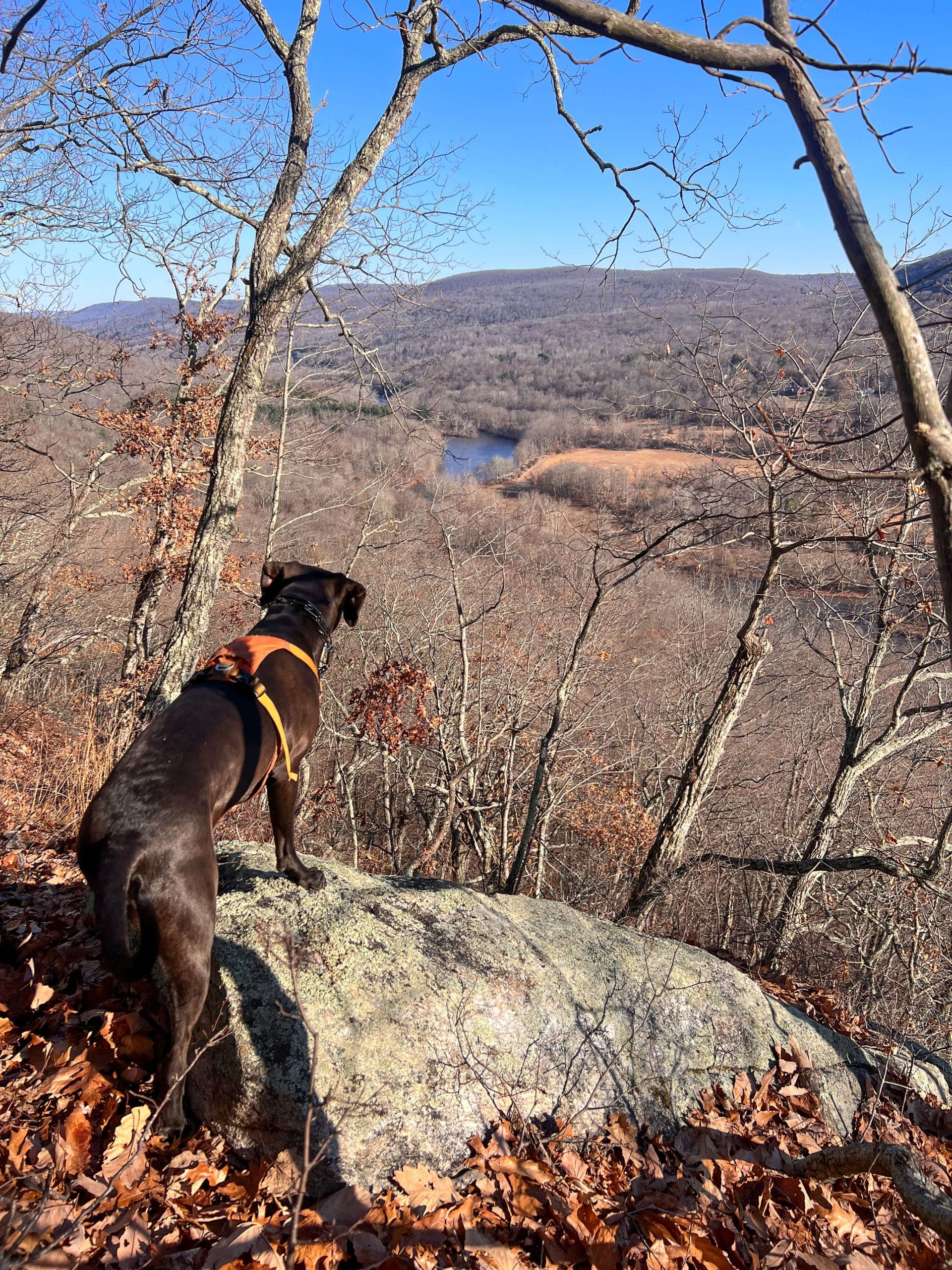 25 Fun and Adventurous Things to Do in Kent, CT