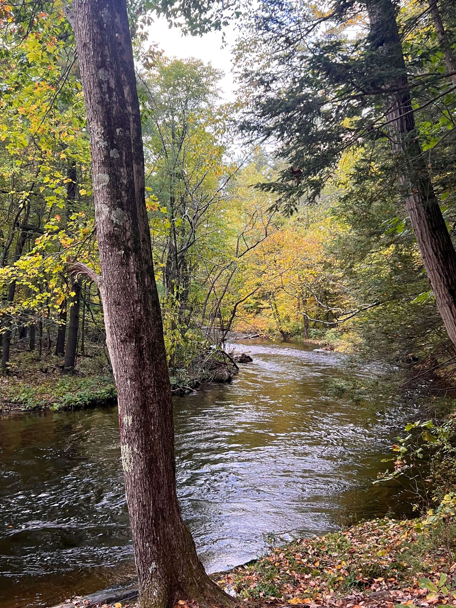 9 Beautiful River Walks & Trails in Connecticut