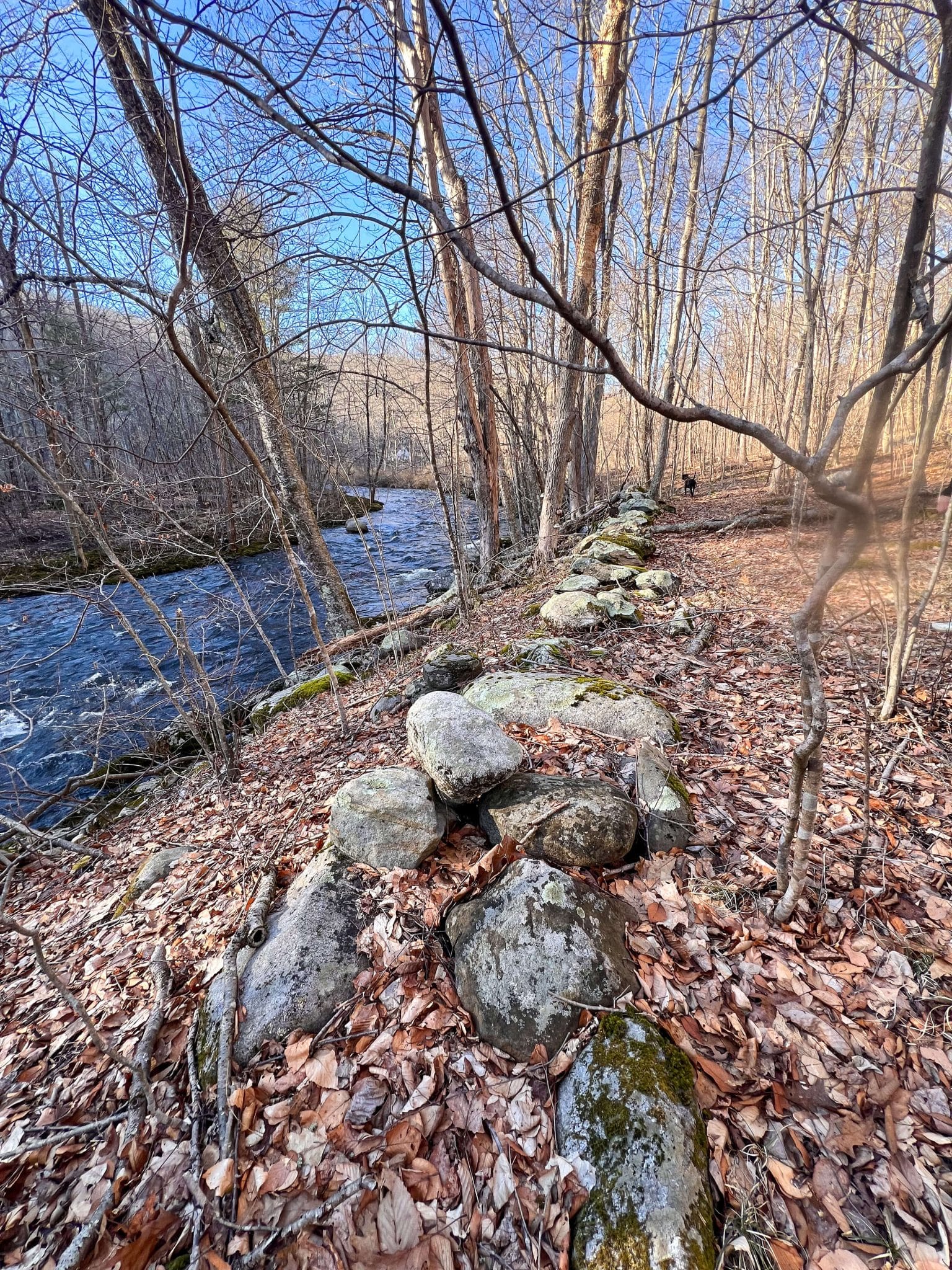 9 Beautiful River Walks & Trails in Connecticut