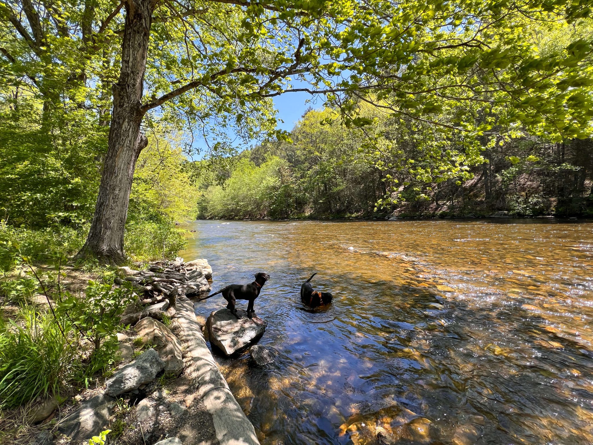 Day Trip to Newtown, Connecticut; Hikes, Waterfall, & Food!