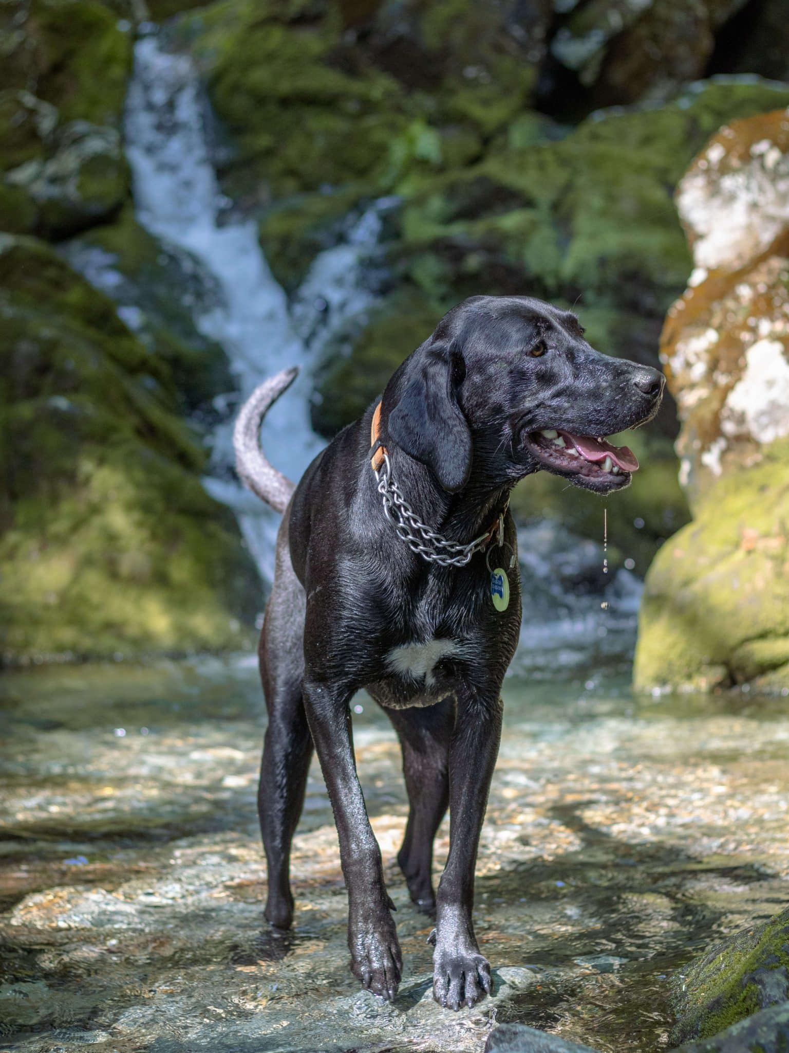 11 Must-See Waterfalls in the Berkshires, Massachusetts