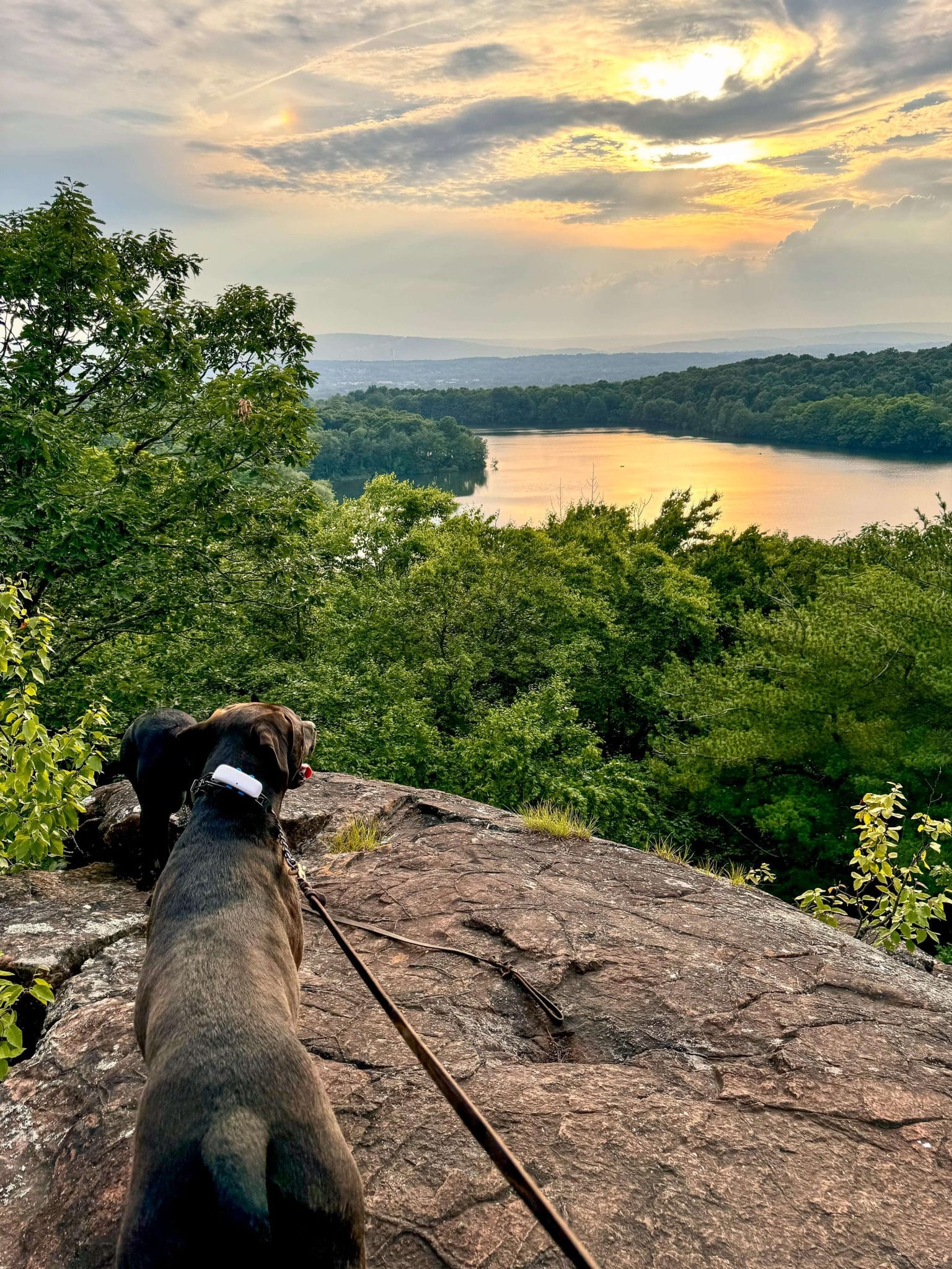 Trail Guide: Sunset Rock State Park at Crescent Lake, CT