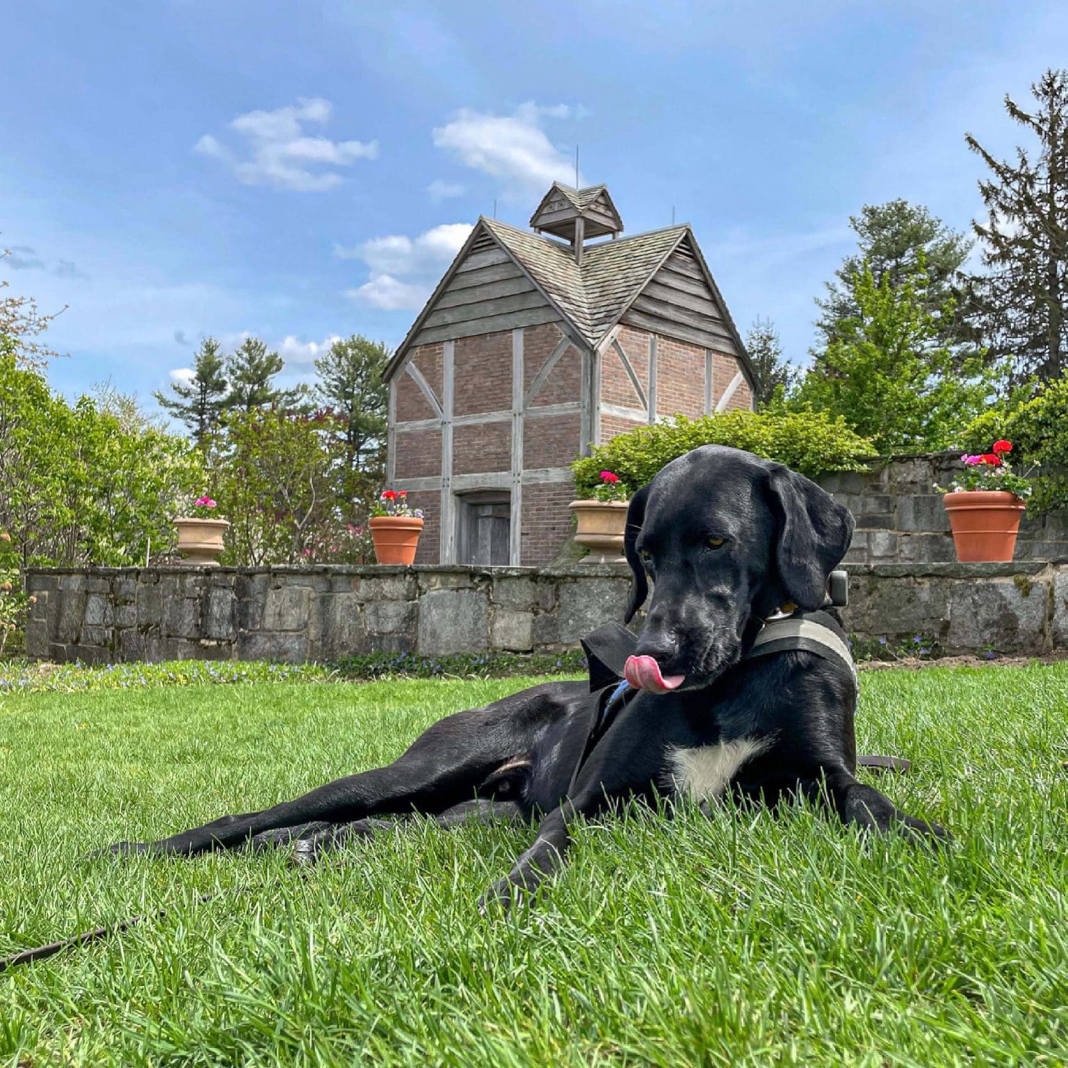 33 Fun Things to Do in CT This Summer (Beyond the Beach!)